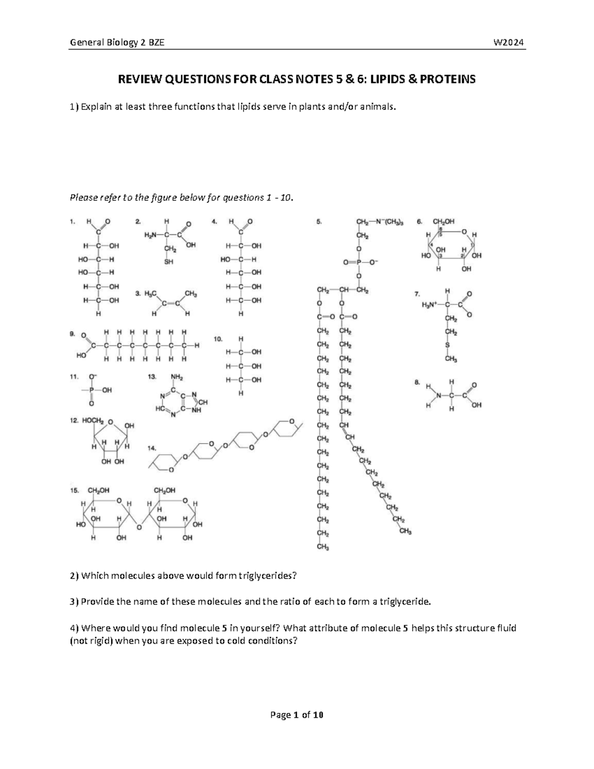 Review Questions FOR Class Notes 5 6 lipids proteins - REVIEW QUESTIONS ...