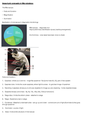 Med micro Lec 8 - Human pathogens 5 (bacteria) - Human Pathogens 5 -Haemophilus sp. -Listeria sp ...
