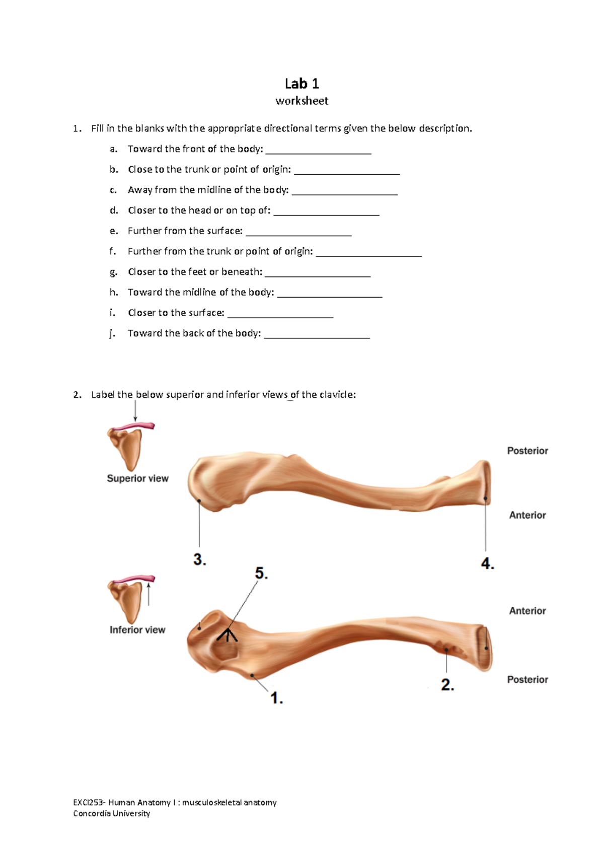EXCI253- worksheet Lab 1 fe6b4033239 a1dd7258dddff 3a641b59 - EXCI253 ...