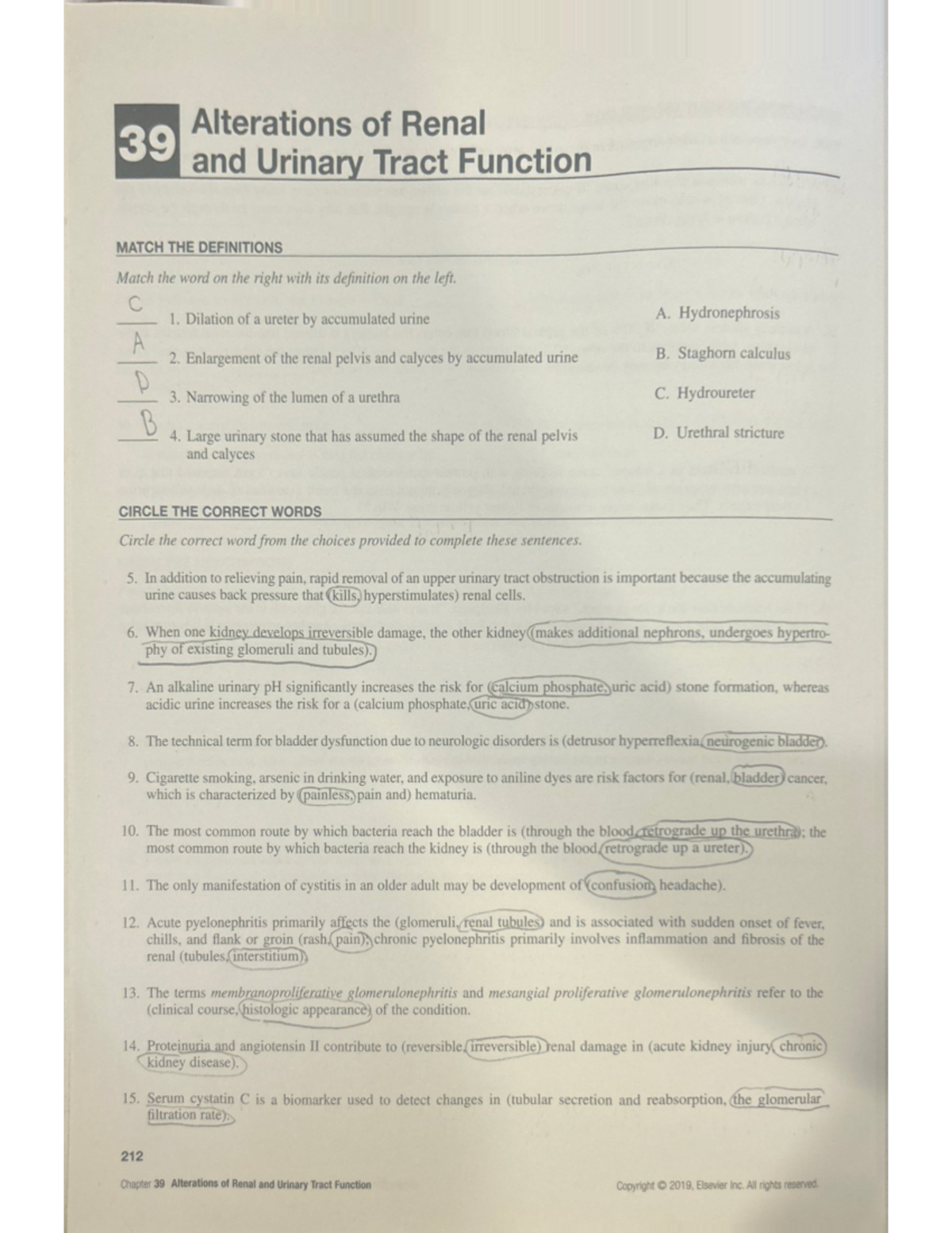 Activity 7 - Alterations of Renal 39 andUrinaryTractFunction - PATH 370 ...