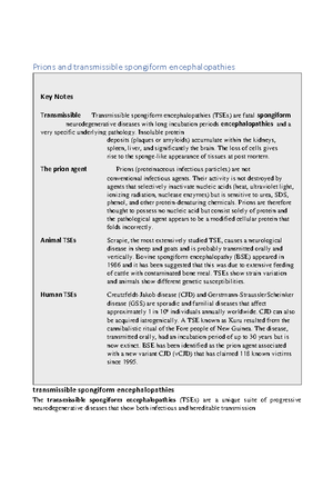 Prokaryotes and their environment - Prokaryotes and their environment ...