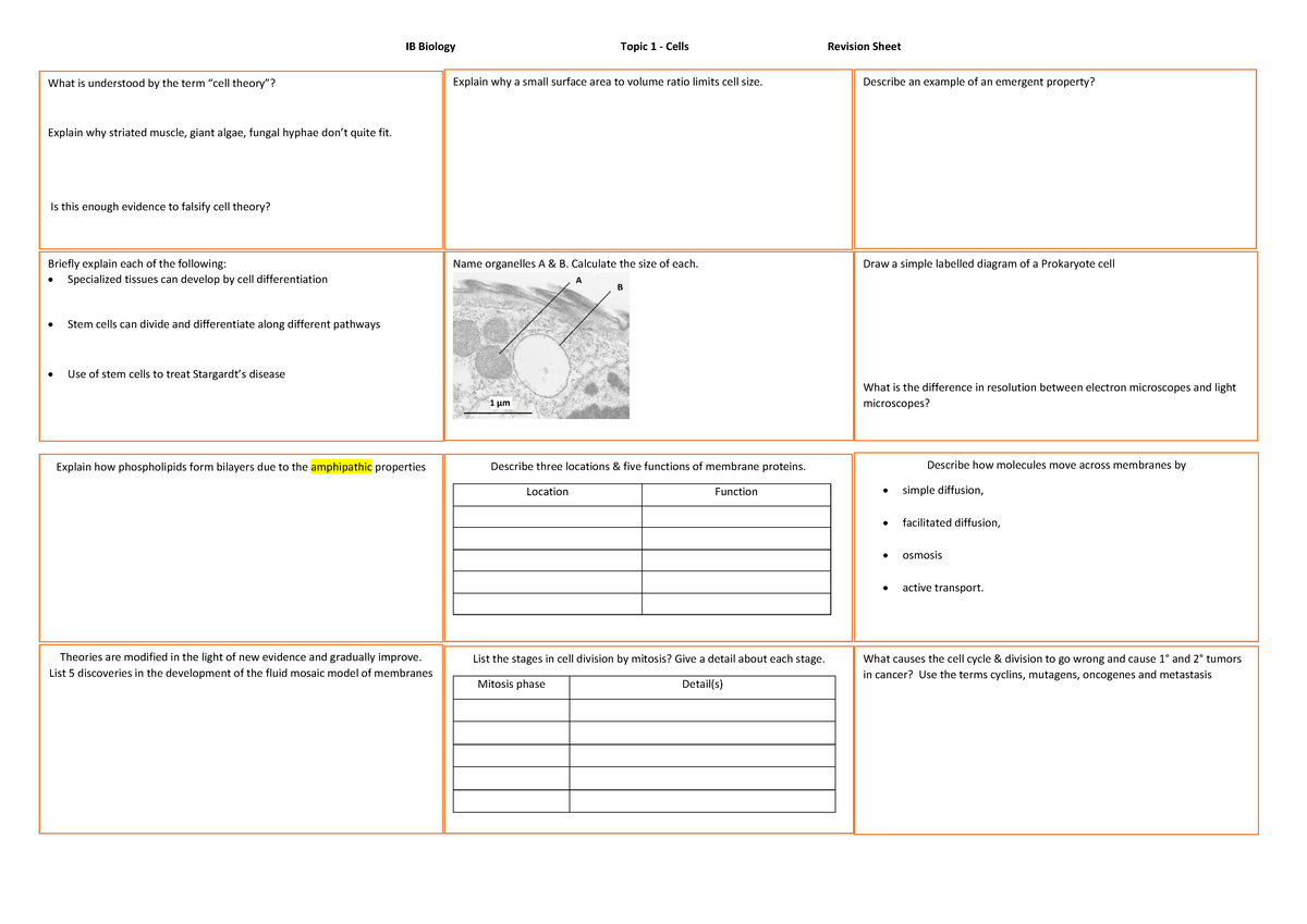 01 cells A3 revision-sheet A3format - IB Biology Topic 1 - Cells ...