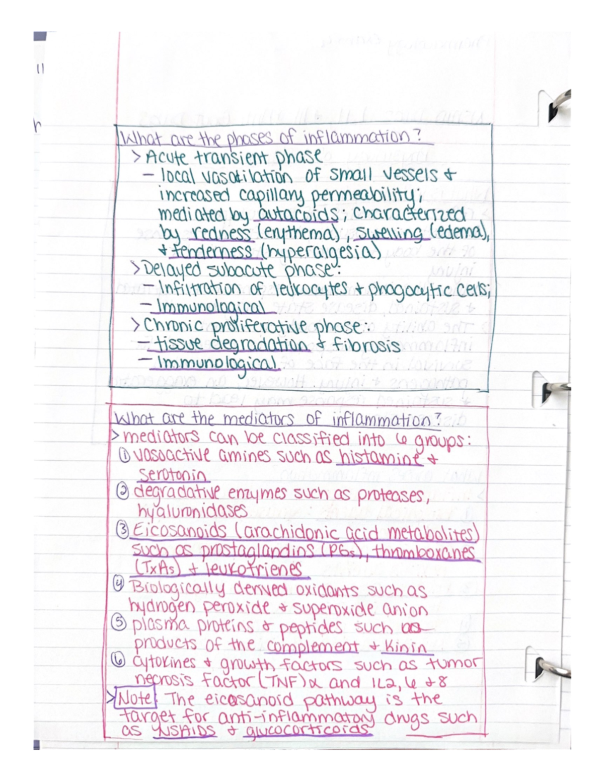 Exam 4 241 2 - Exam 4 - PHR 241 - Studocu