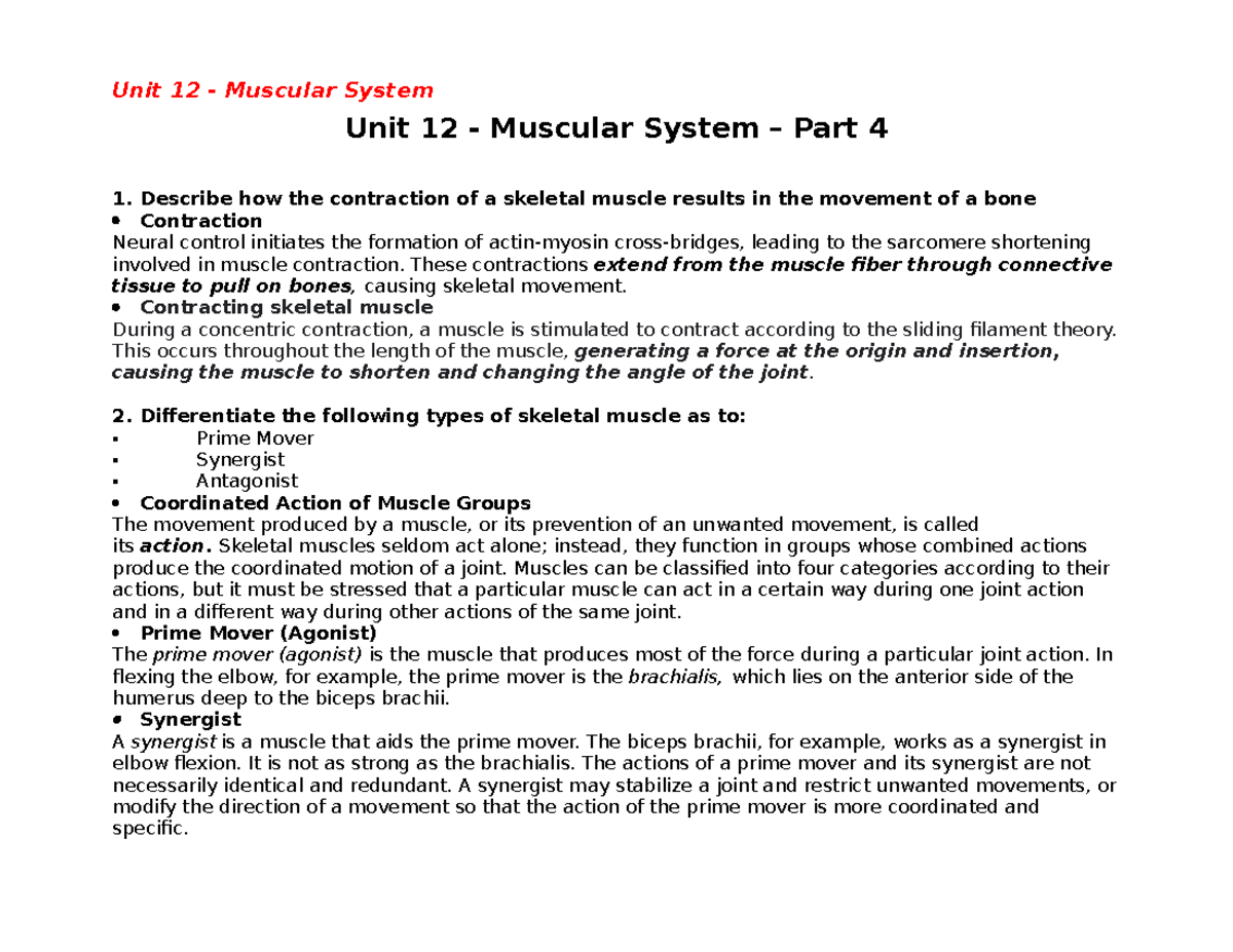Unit 12 - Muscular System - Part 4 - Unit 12 - Muscular System Unit 12 ...