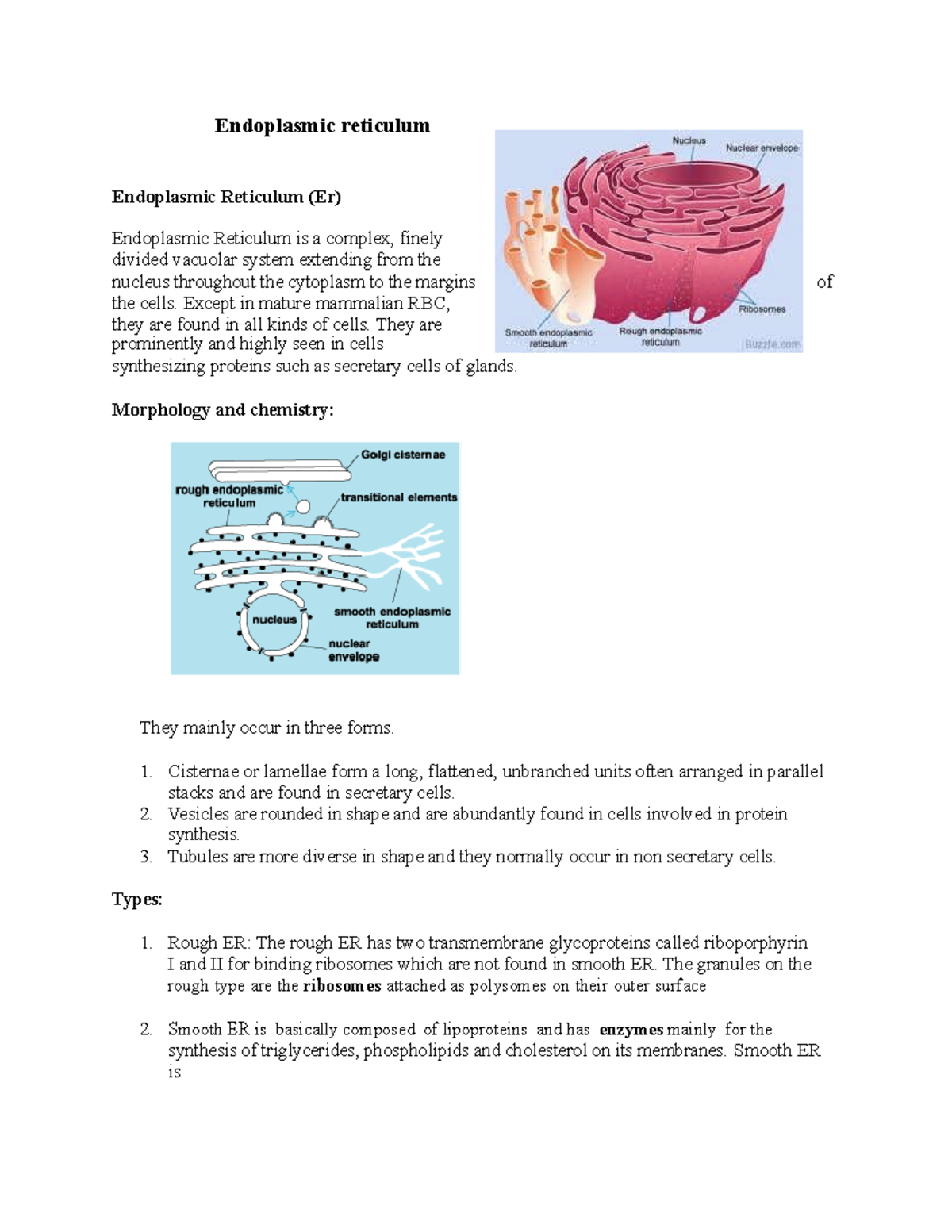 Endoplasmic reticulum - Cell Biology - SGBAU - Studocu