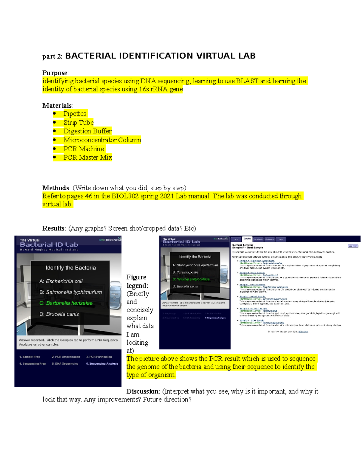 Dilution and Bacterial ID part 3 - part 2: BACTERIAL IDENTIFICATION ...