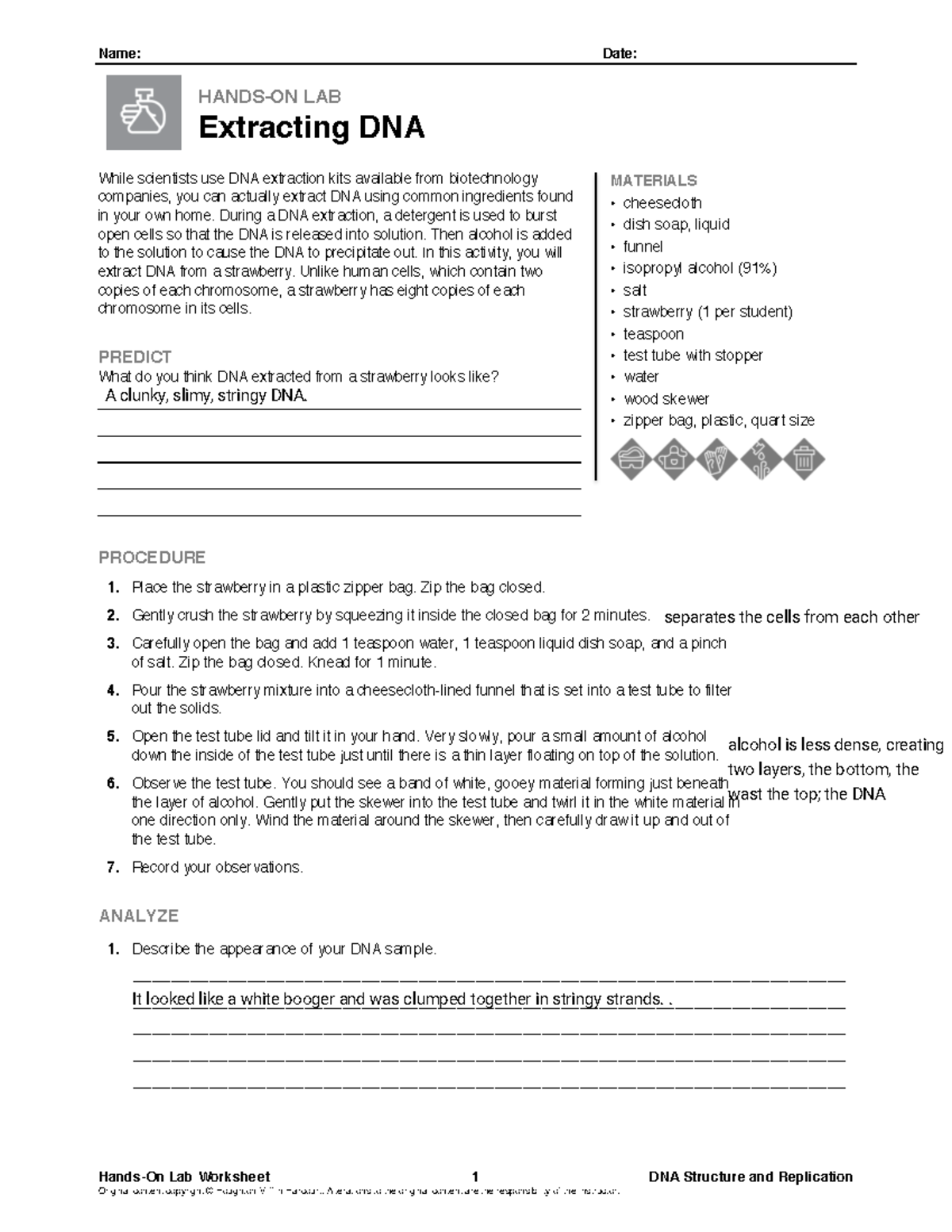 Kami Export - Aditya Gupta - DNA Extraction Lab 23 - Name: Date: Hands ...