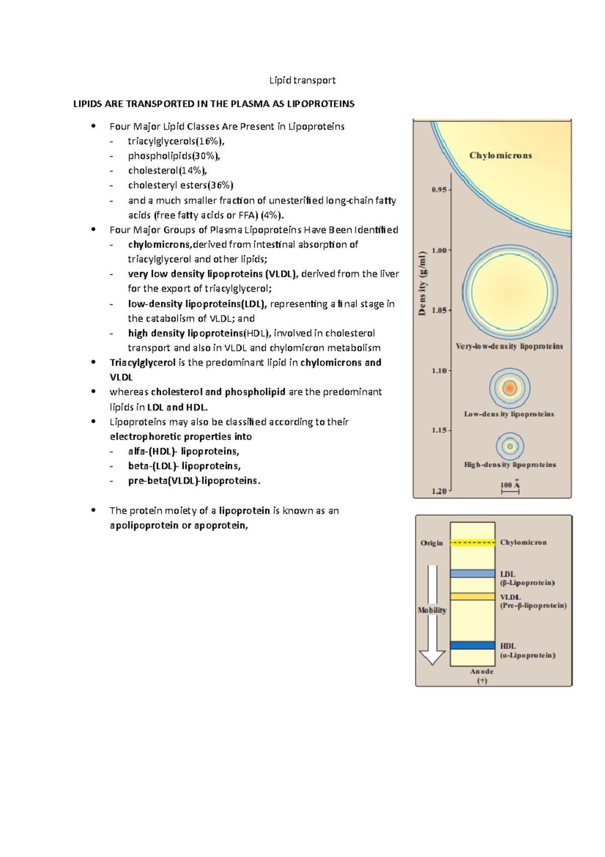 39239 lipid transport - Lipid transport LIPIDS ARE TRANSPORTED IN THE ...