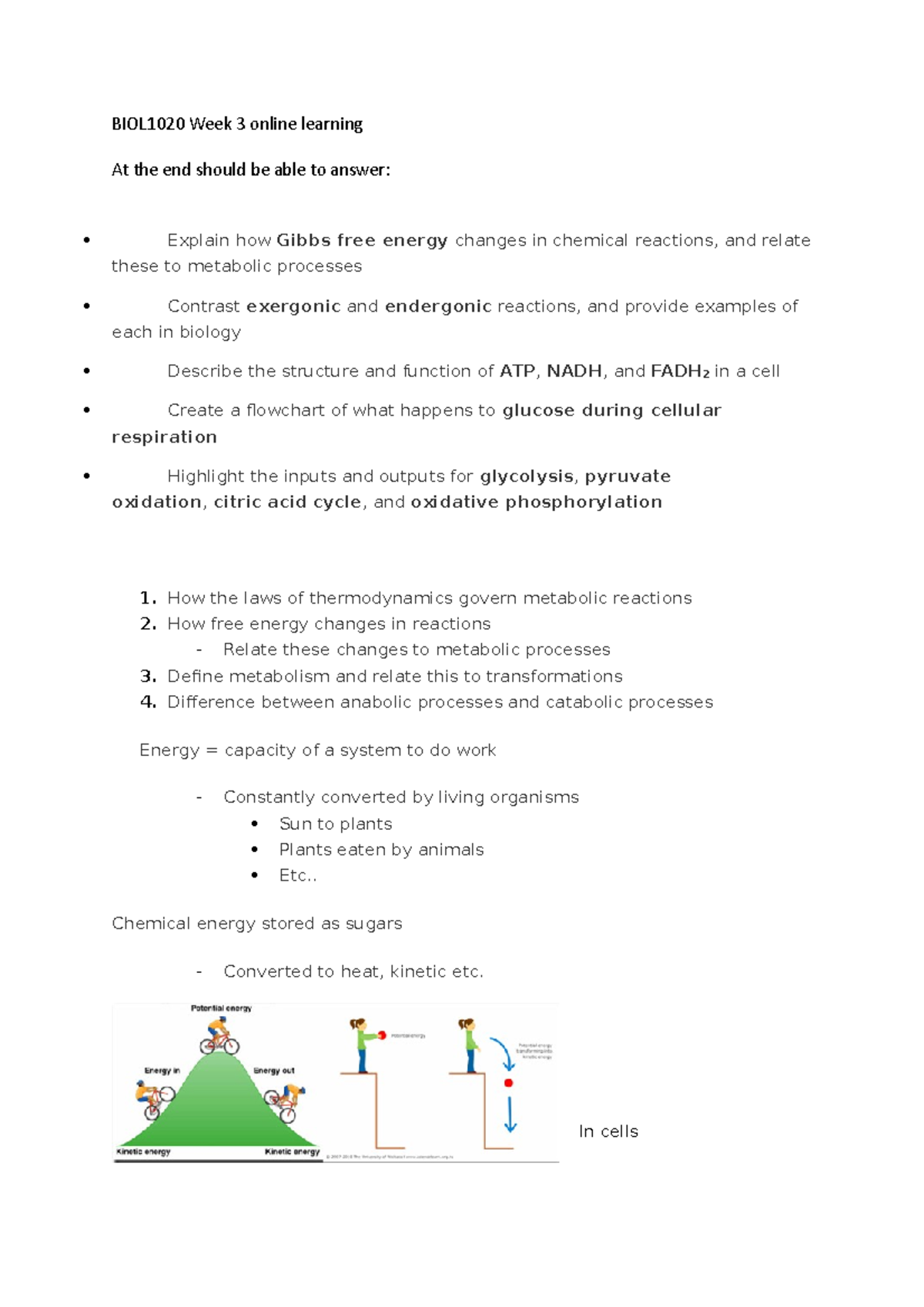 BIOL1020 Week 3 online learning - BIOL1020 Week 3 online learning At ...