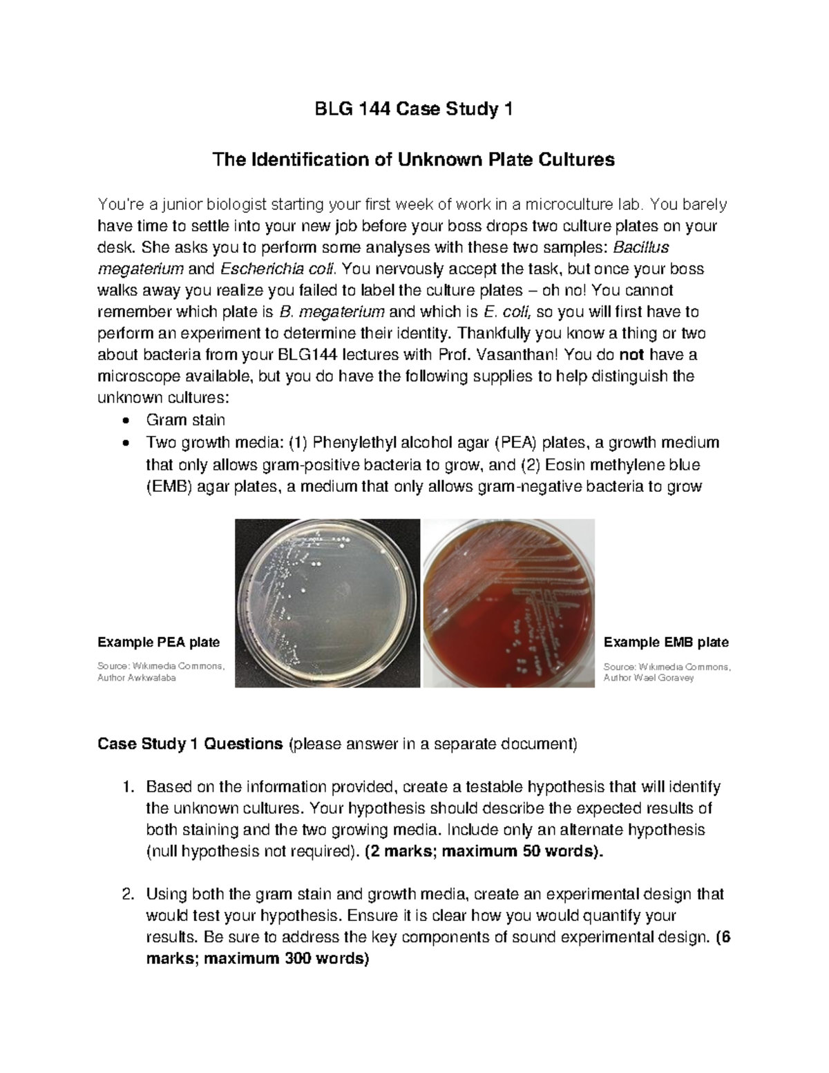 1B BLG 144 Case Study 1 - good luck - BLG 144 Case Study 1 The Identification of Unknown Plate ...