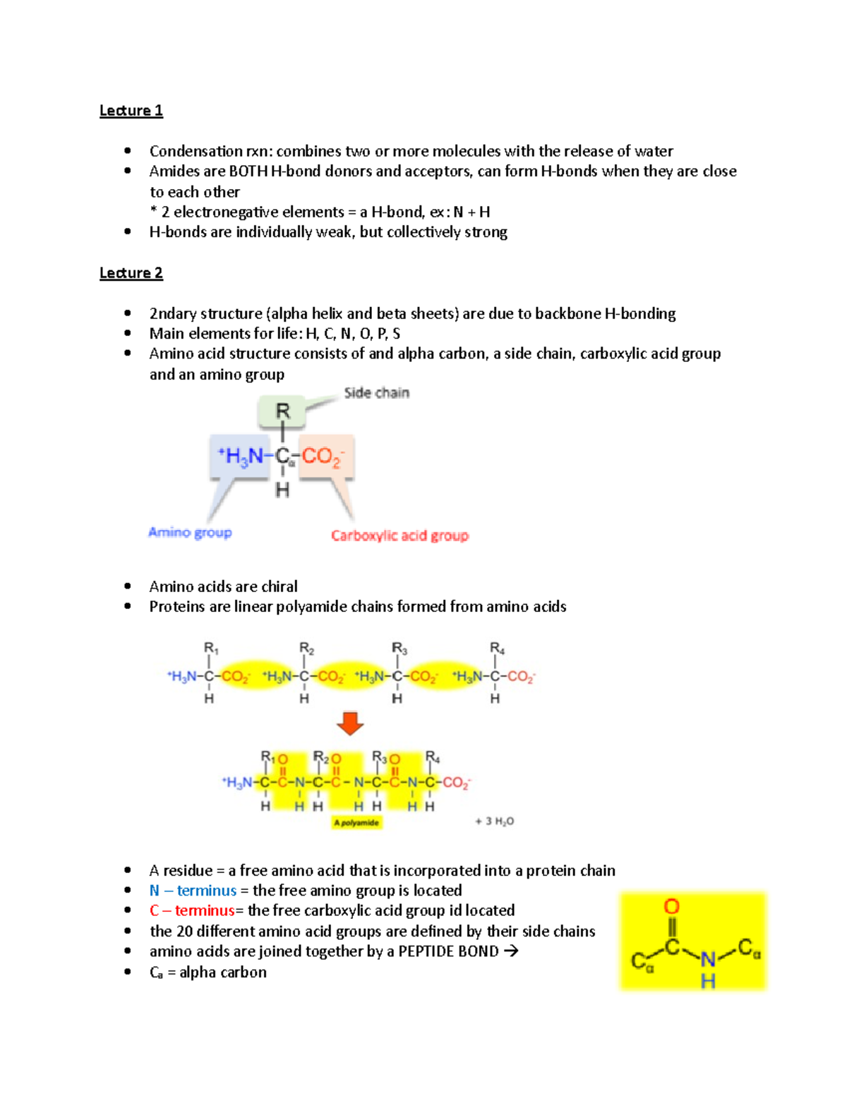 Bio Chem Exam Study Notes - Lecture 1 Condensation rxn: combines two or ...