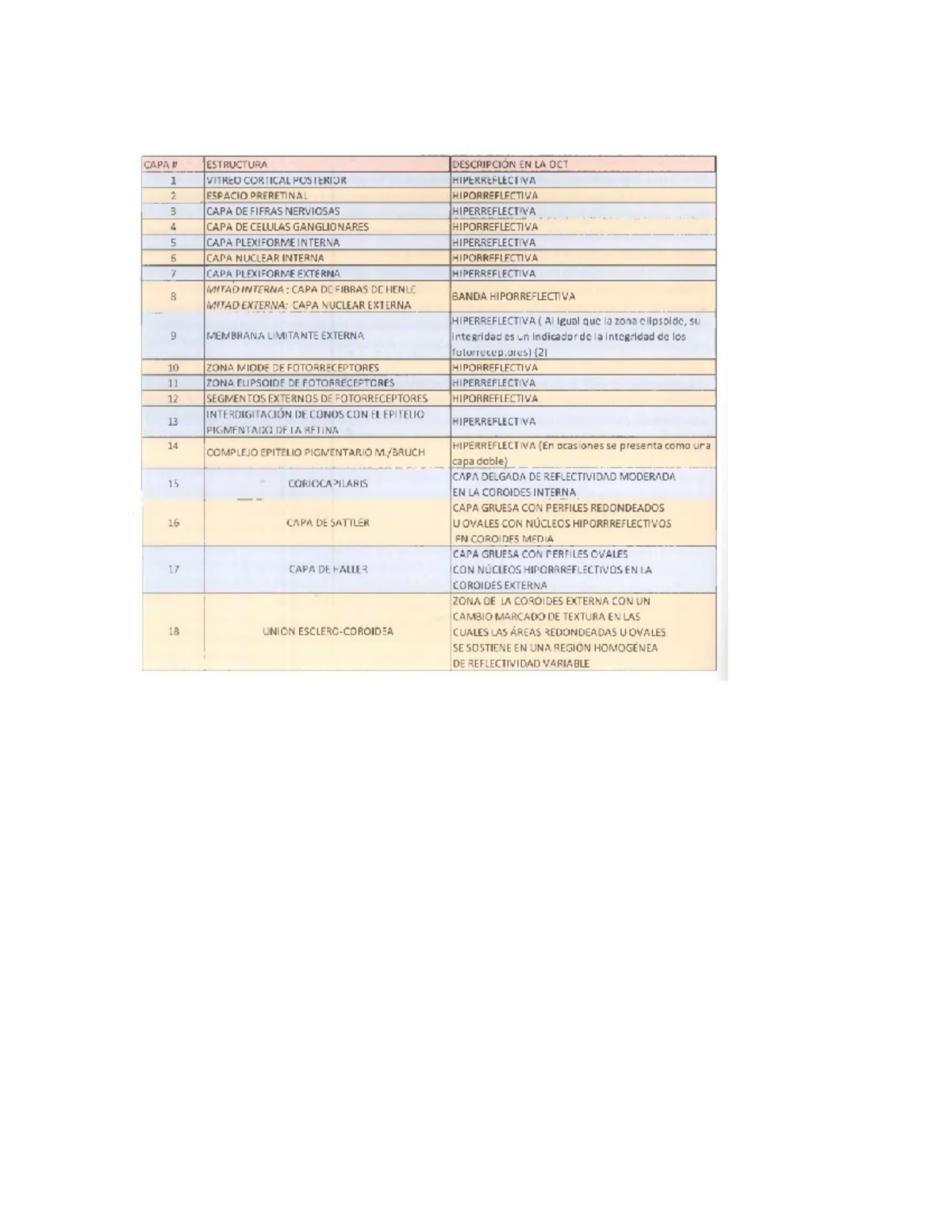 Capas Retina OCT - Resumen Imagen - Studocu