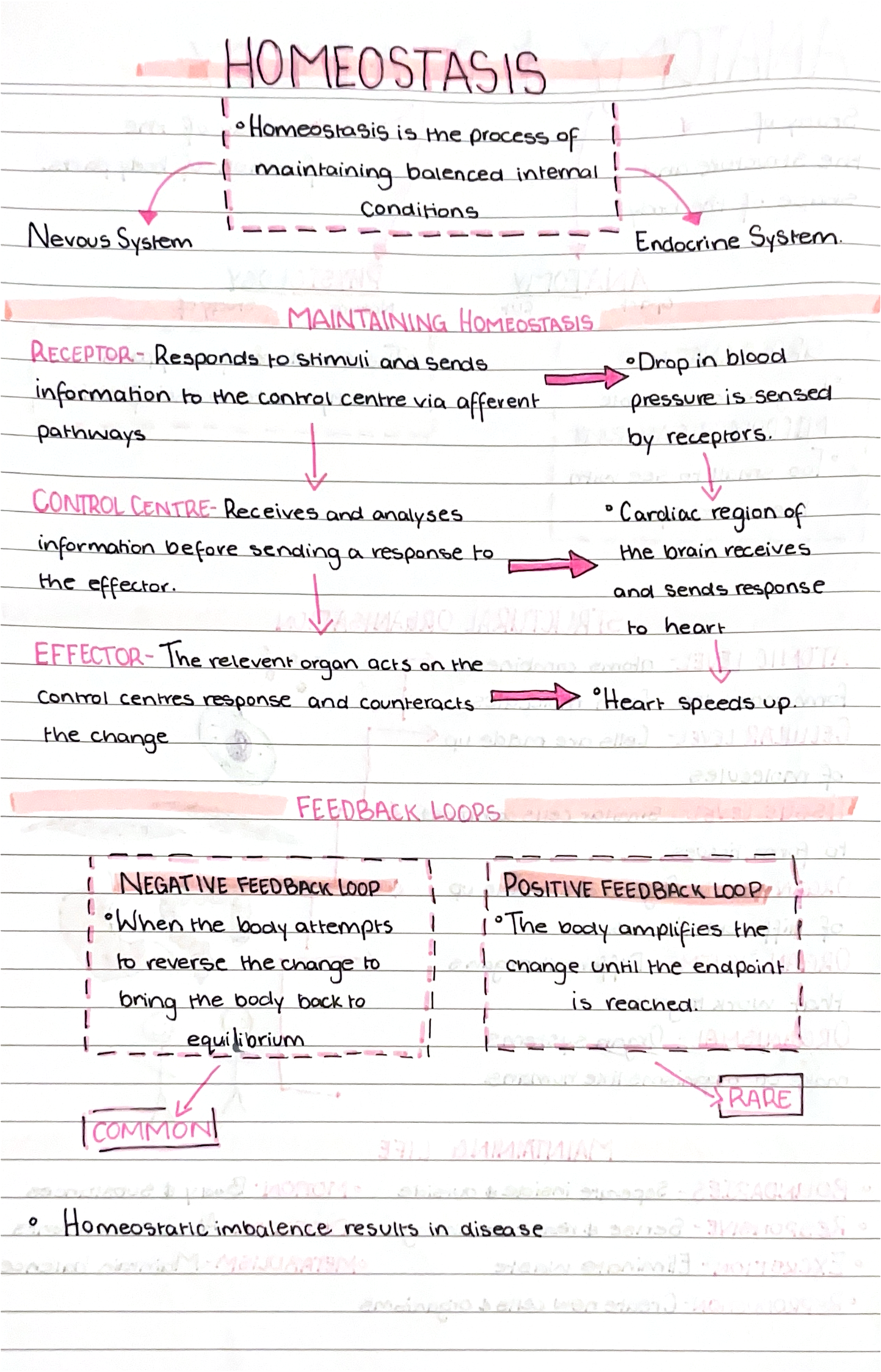 Homeostasis - HLTAAP002 - HOMEOSTASIS Homeostasis is the process of ...