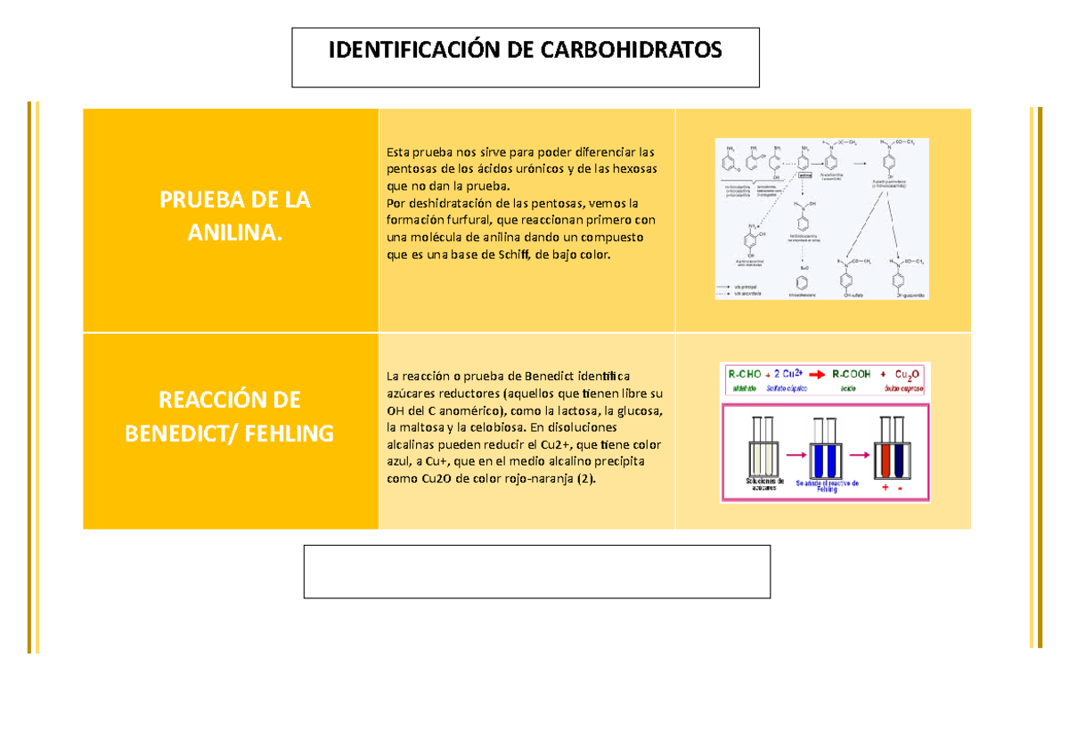 Carbohidratos - GRAIAS - Esta prueba nos sirve para poder diferenciar ...