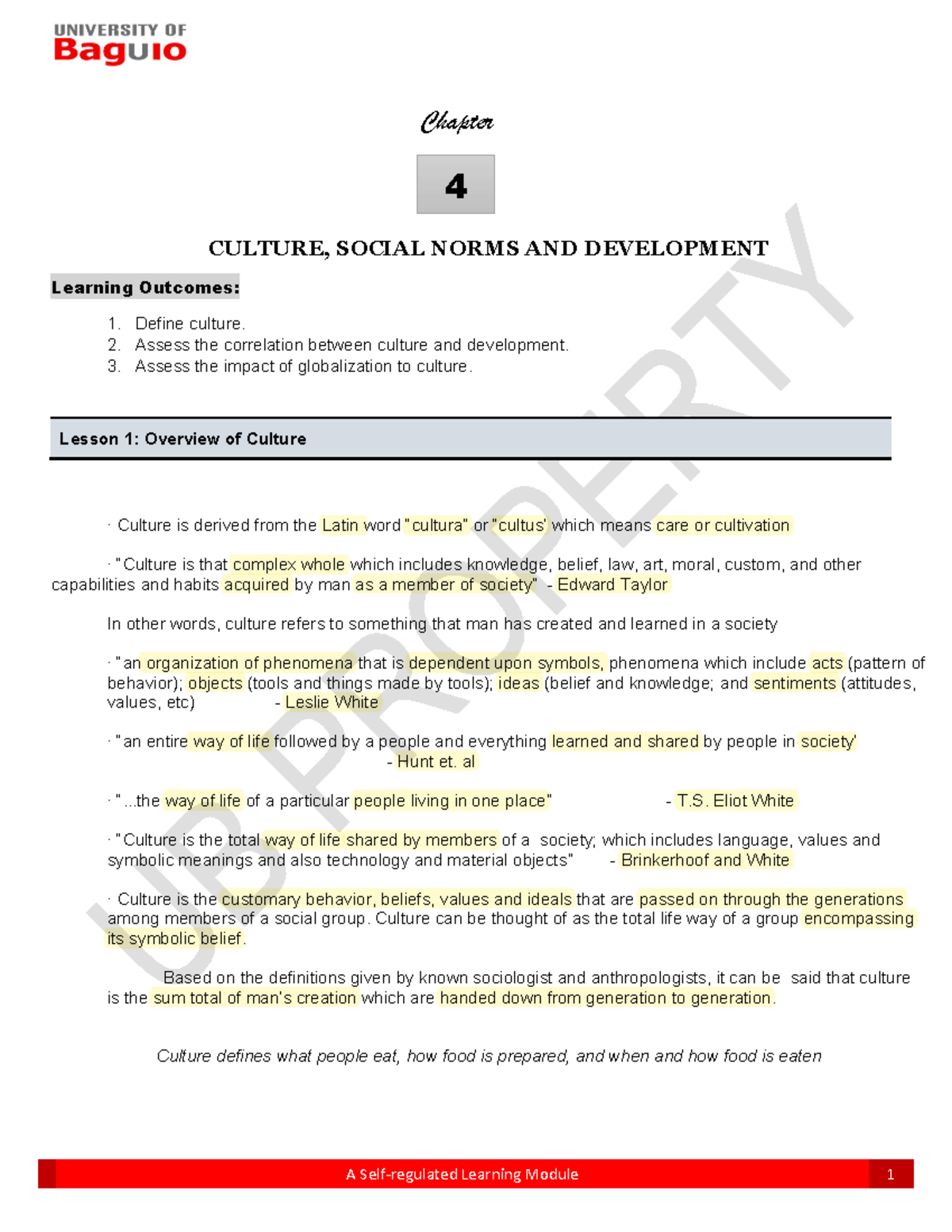 Chapter 4 Culture and Development - Chapter CULTURE, SOCIAL NORMS AND ...