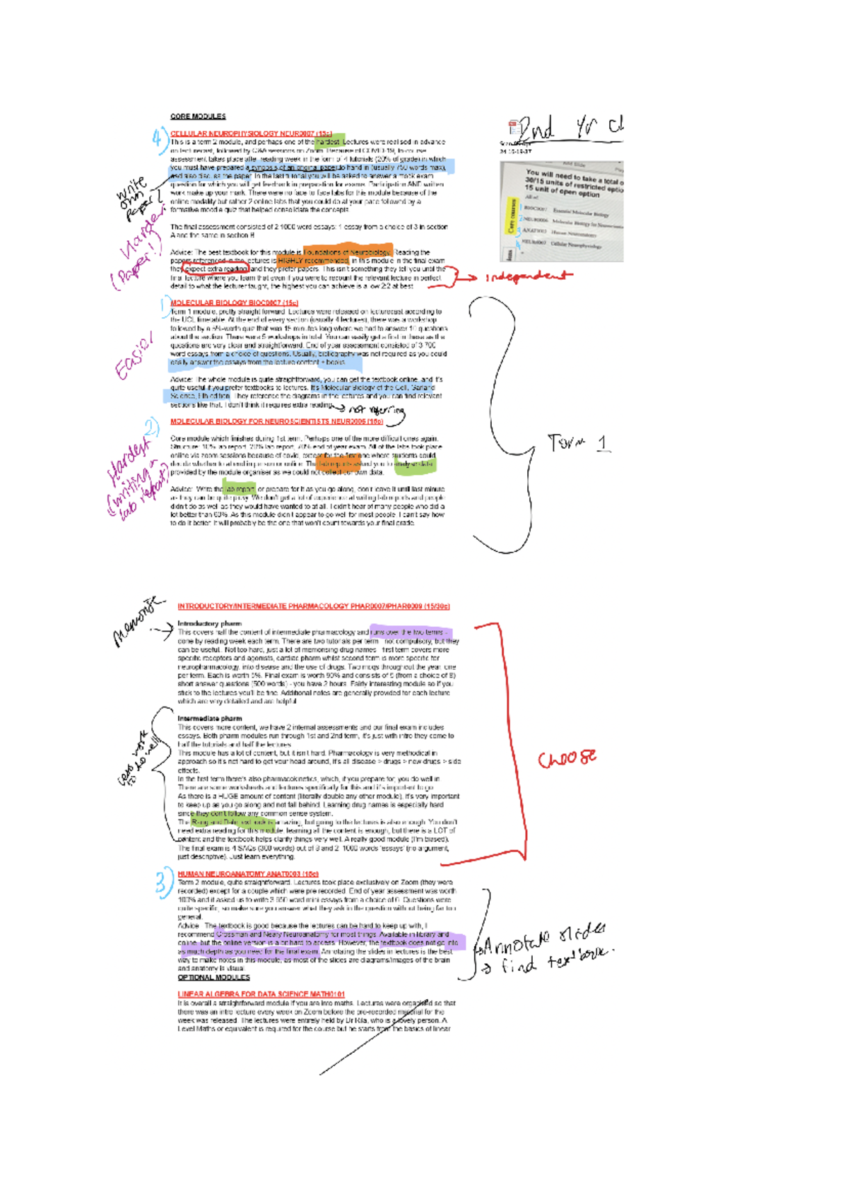 Annotated Neuroscience 2nd yr UCL modules - CORE MODULES CELLULAR ...