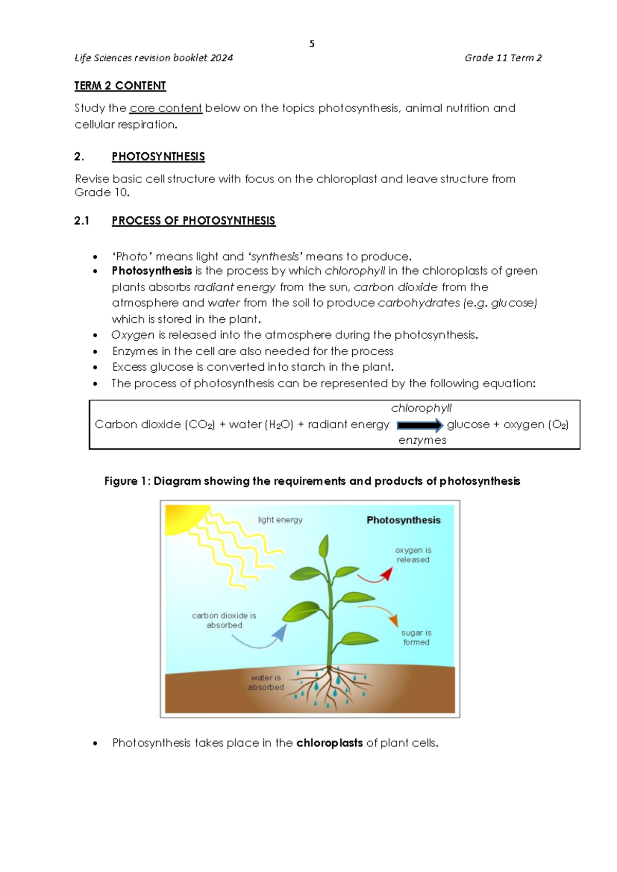 Grade-11-Life-Sciences-Revision-material-Term-2 2024-1-24-1-5-20 - Life ...