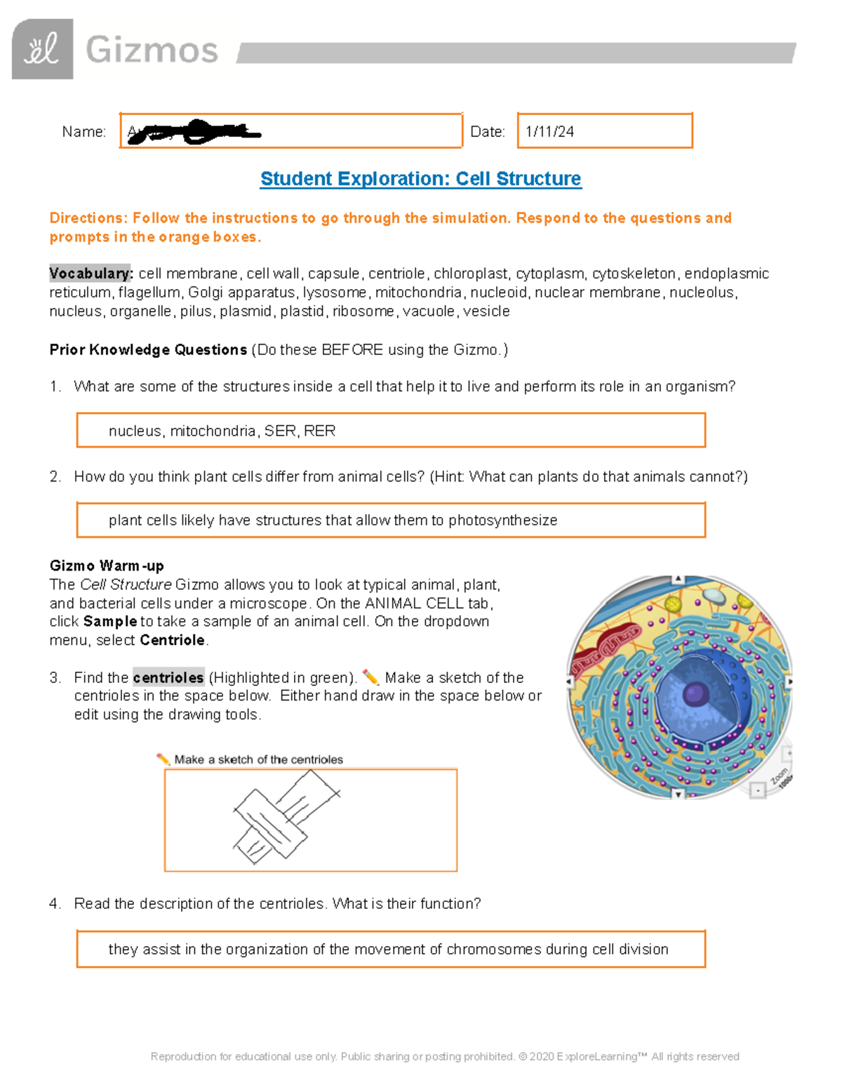 Copy of Cell Structure SE - Name: Audrey Wasbauer Date: 1/11/ Student ...