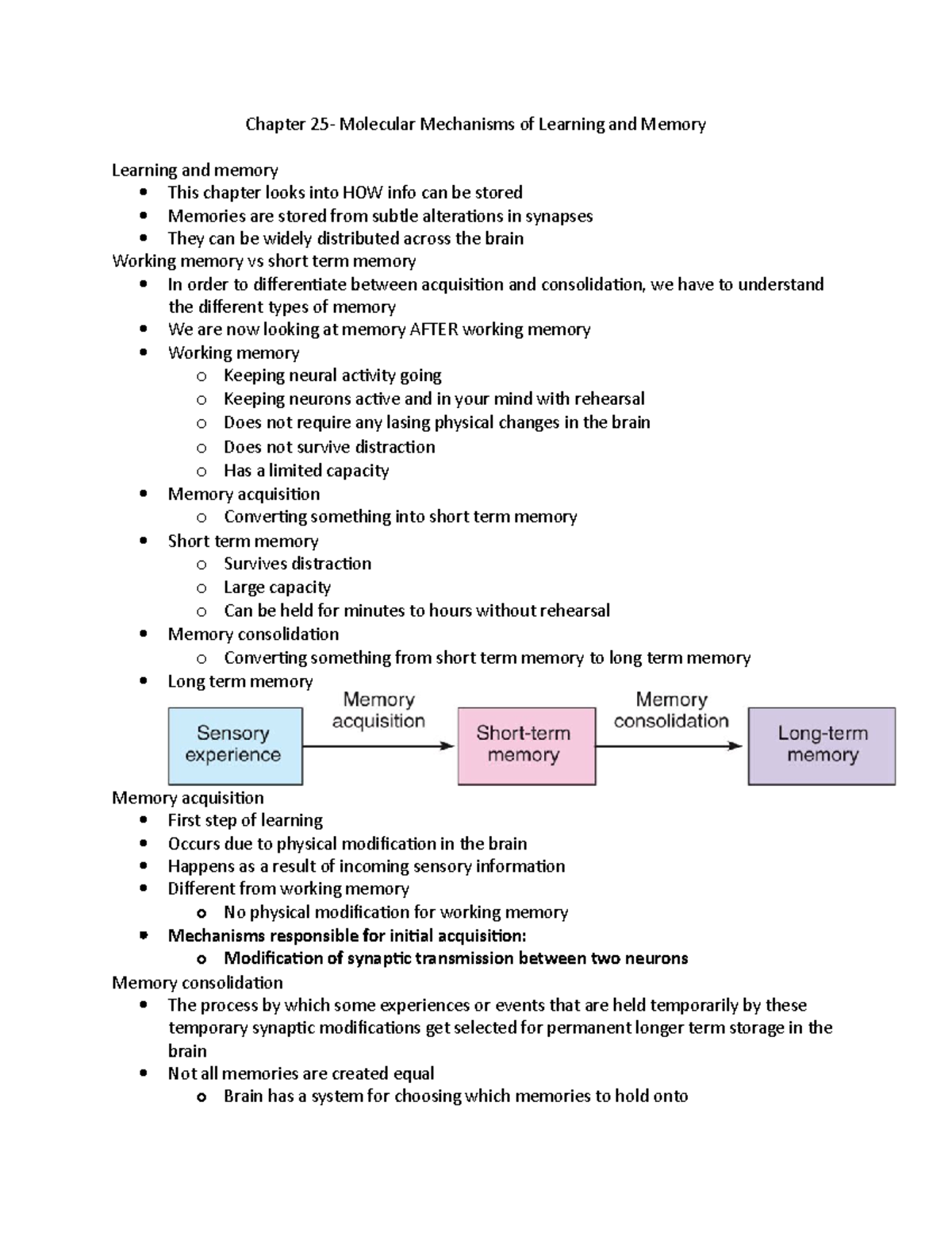 Chapter 25-Molecular Mechanisms - Chapter 25- Molecular Mechanisms of ...