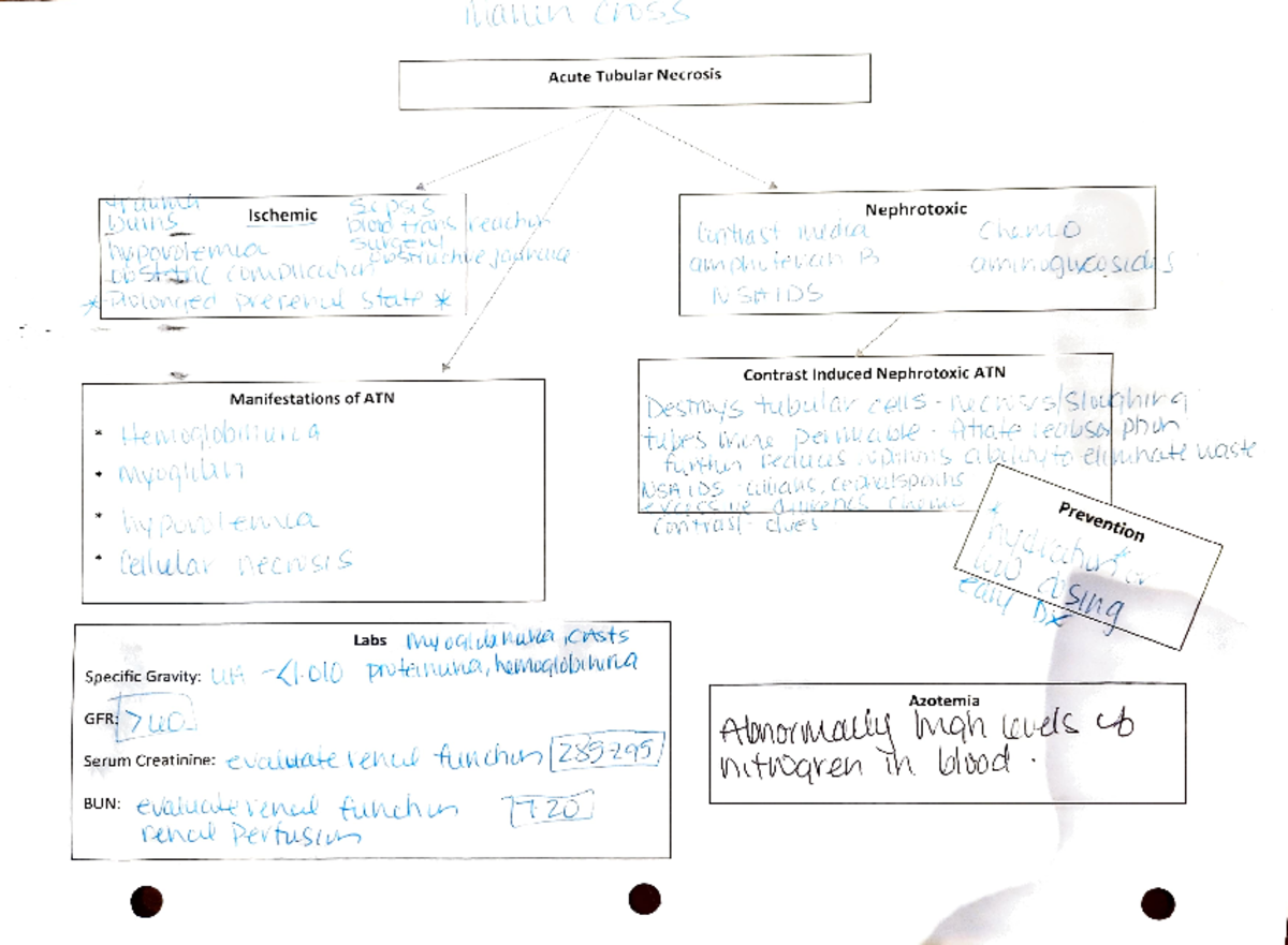 Patho map - Ffffff - Z ####### Nn8 M71monD2 num ####### GloC3z ...