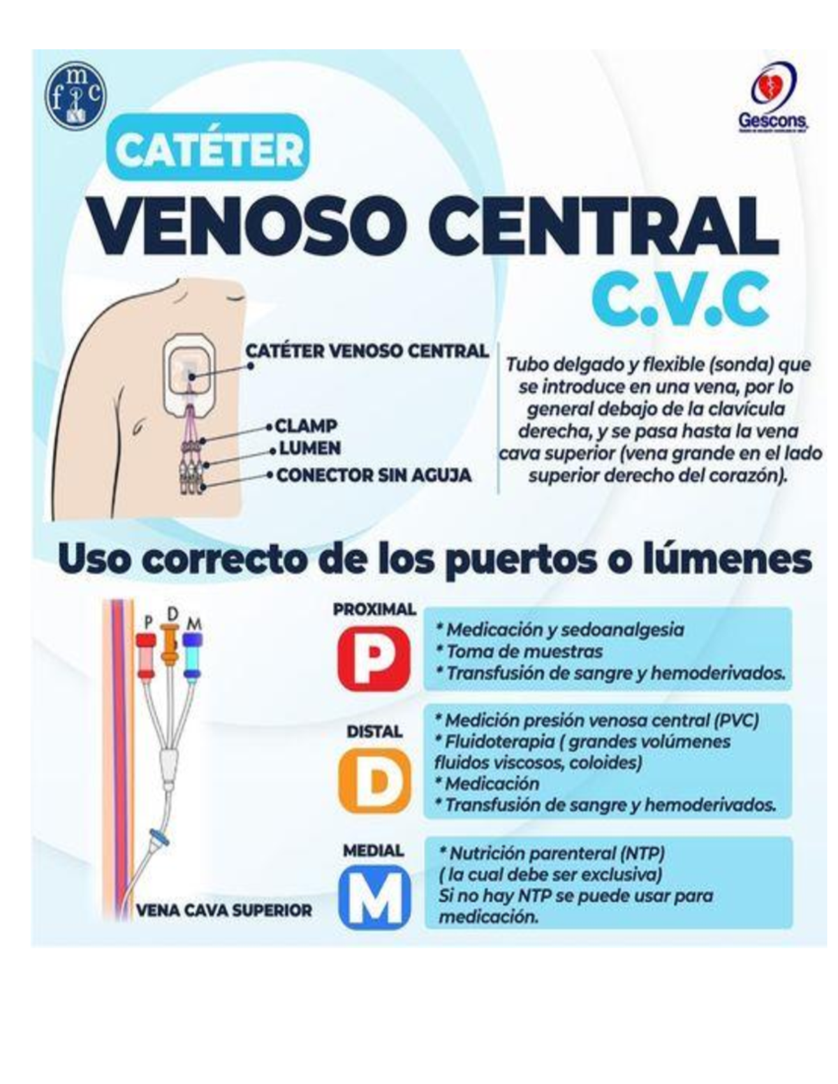 Cateter Venoso Central - Fundamentos Teórico Metodológicos de Enfermería II - Studocu