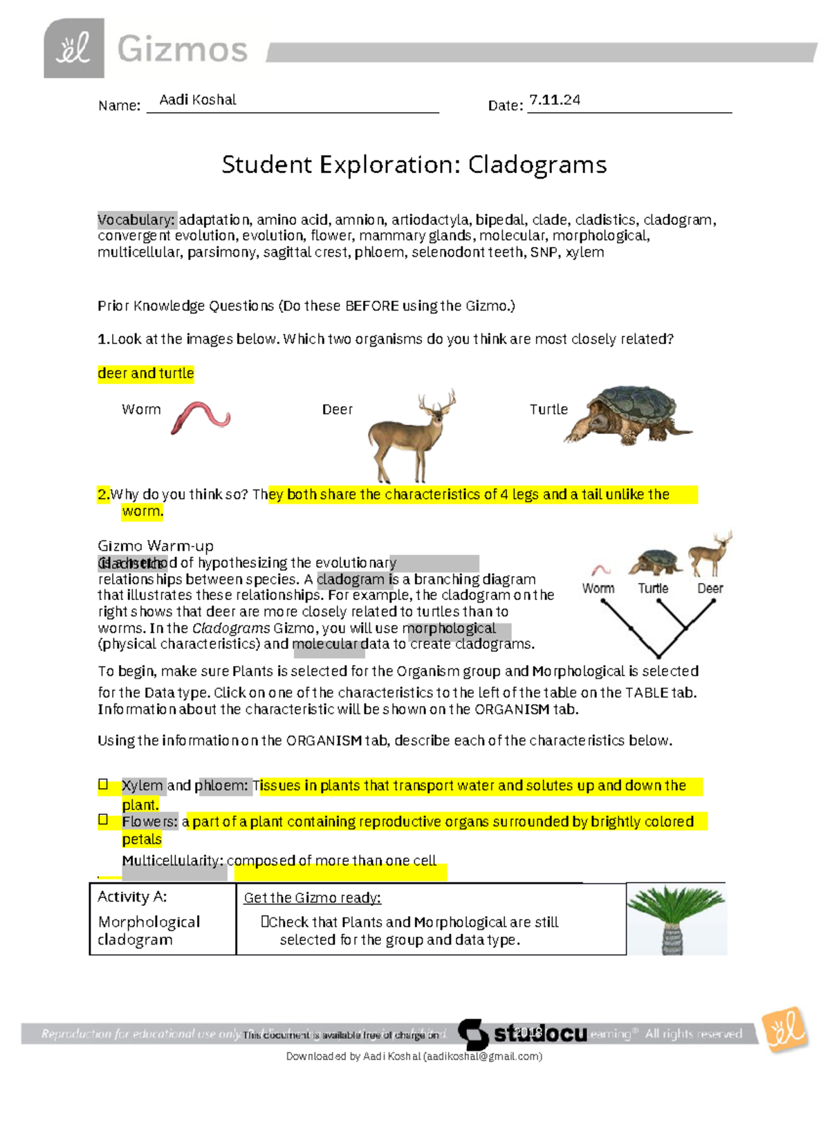 Gizmo-cladograms - This is about cladograms on gizmos and will help you learn about it more as ...