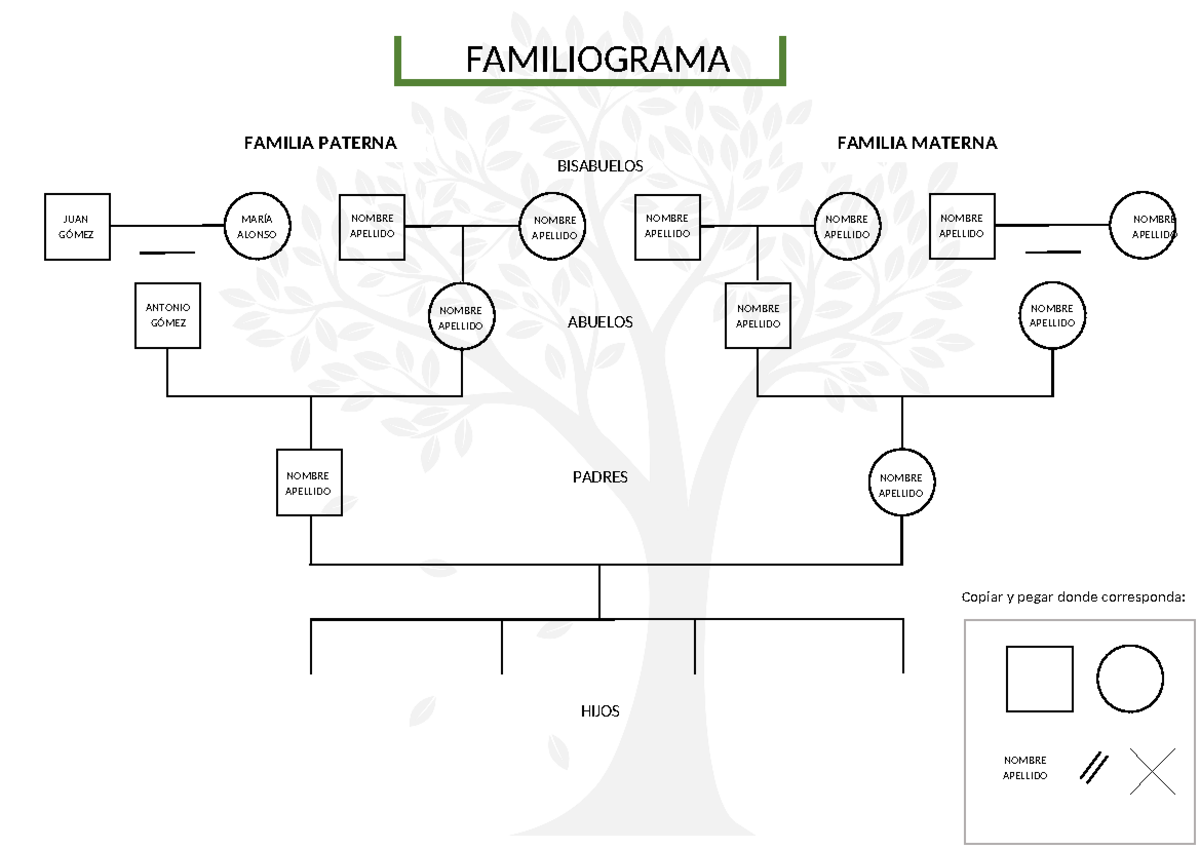 Familiograma 1 - FAMILIOGRAMA FAMILIA PATERNA FAMILIA MATERNA ...