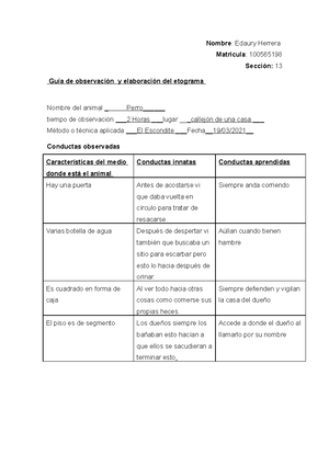 Mapa mental sobre conducta animal - Mapa mental sobre las diferentes ...