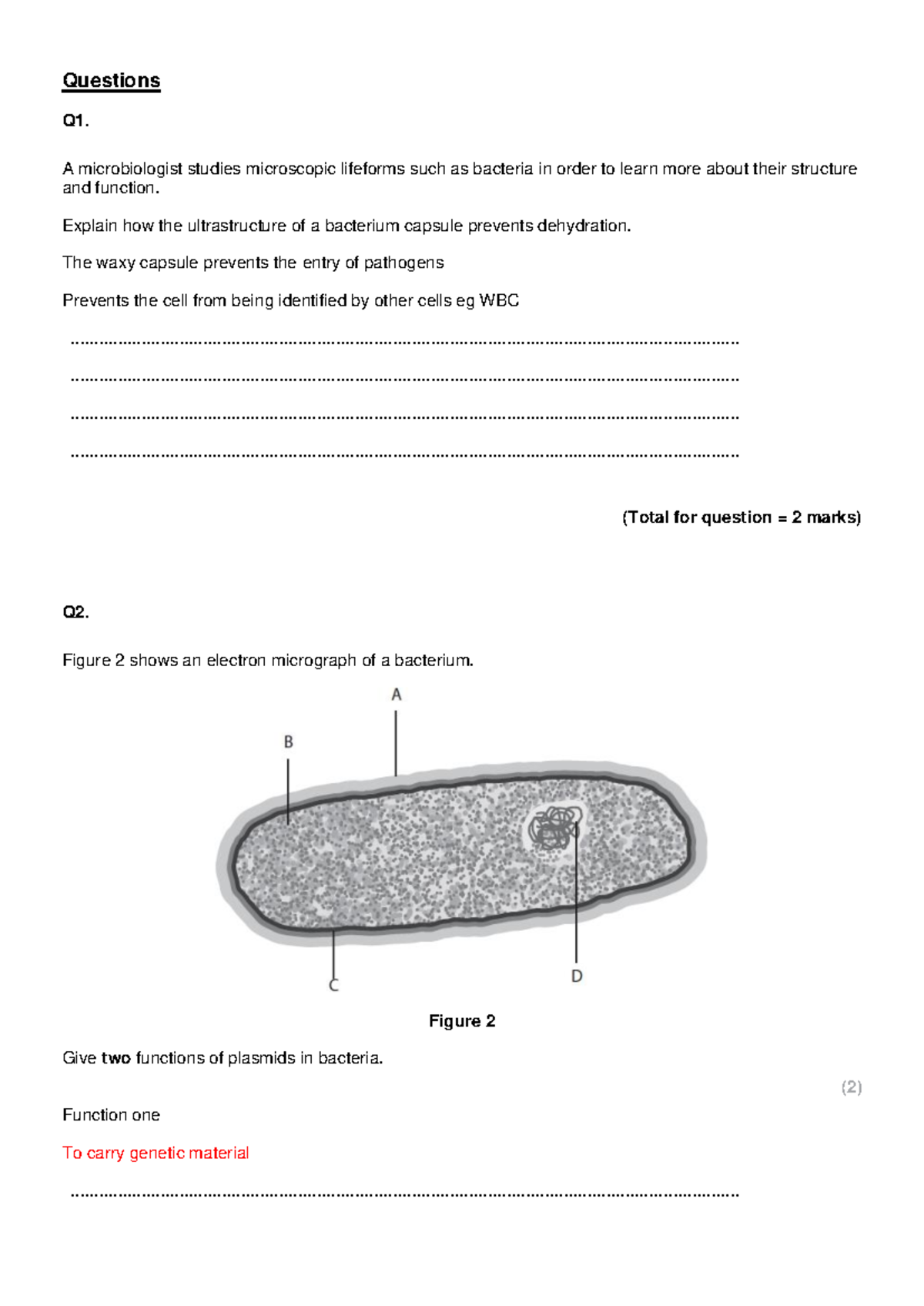 Prokaryotic Cells - asd - Questions Q1. A microbiologist studies ...