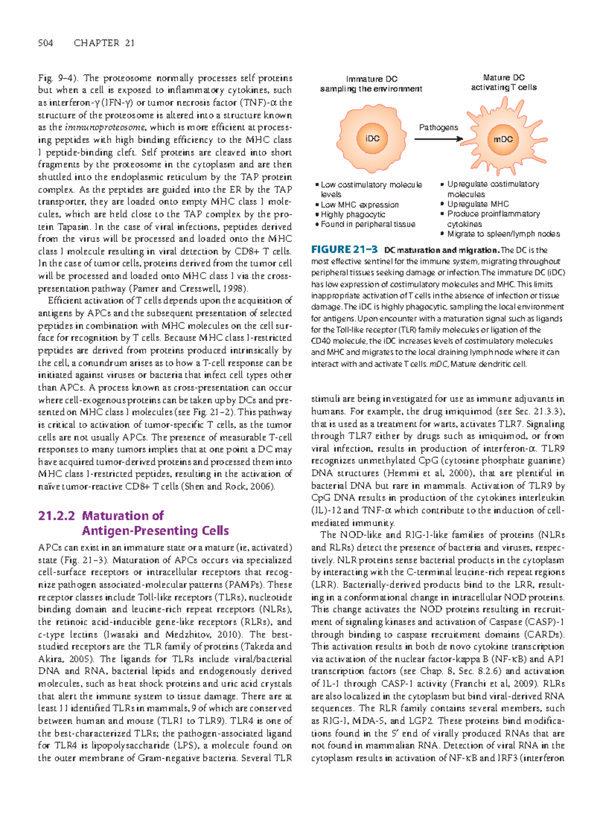 Basic Science of Oncology 5th-173 - 504 CHAPTER 21 Fig. 9–4). The proteosome normally processes ...