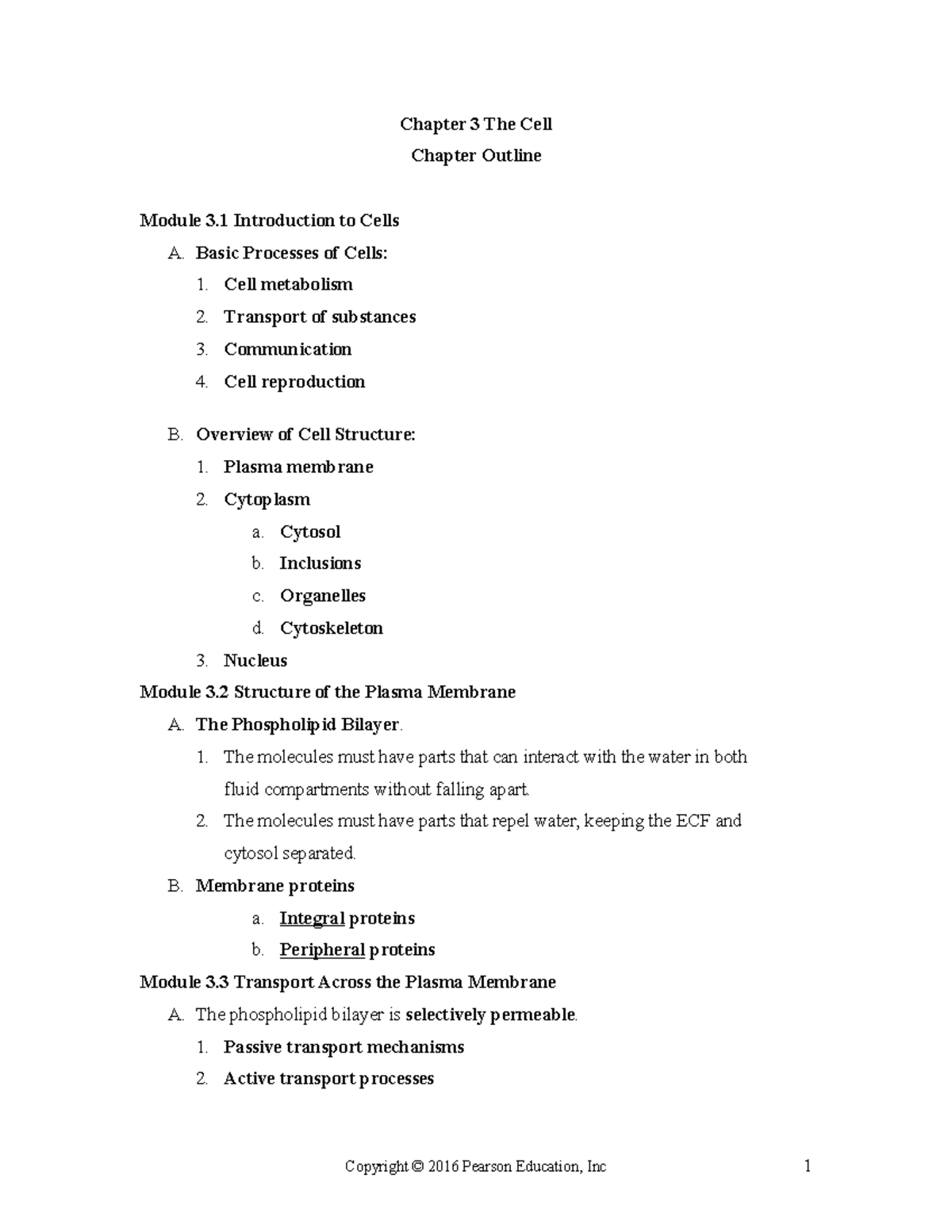 Chapter 3 Outline Amerman Student version - Chapter 3 The Cell Chapter ...
