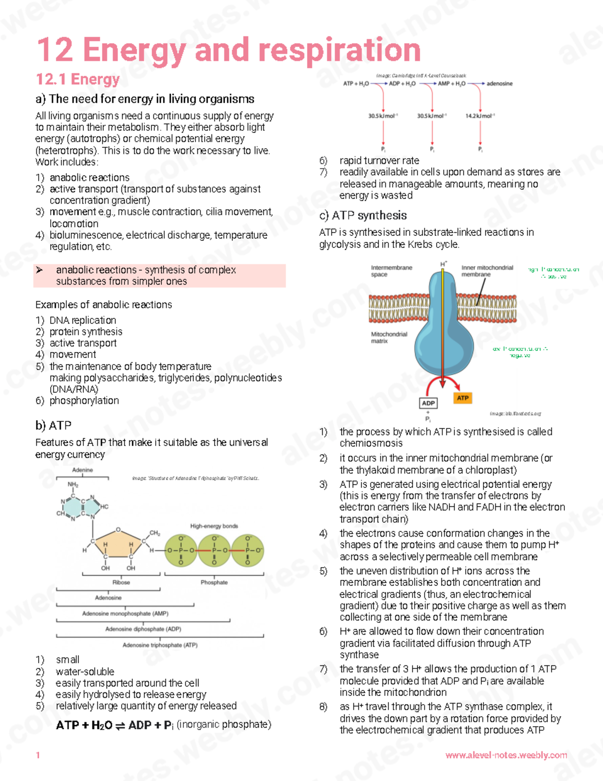 12 energy and respiration - 12 Energy and respiration 1 2 Energy a) The ...