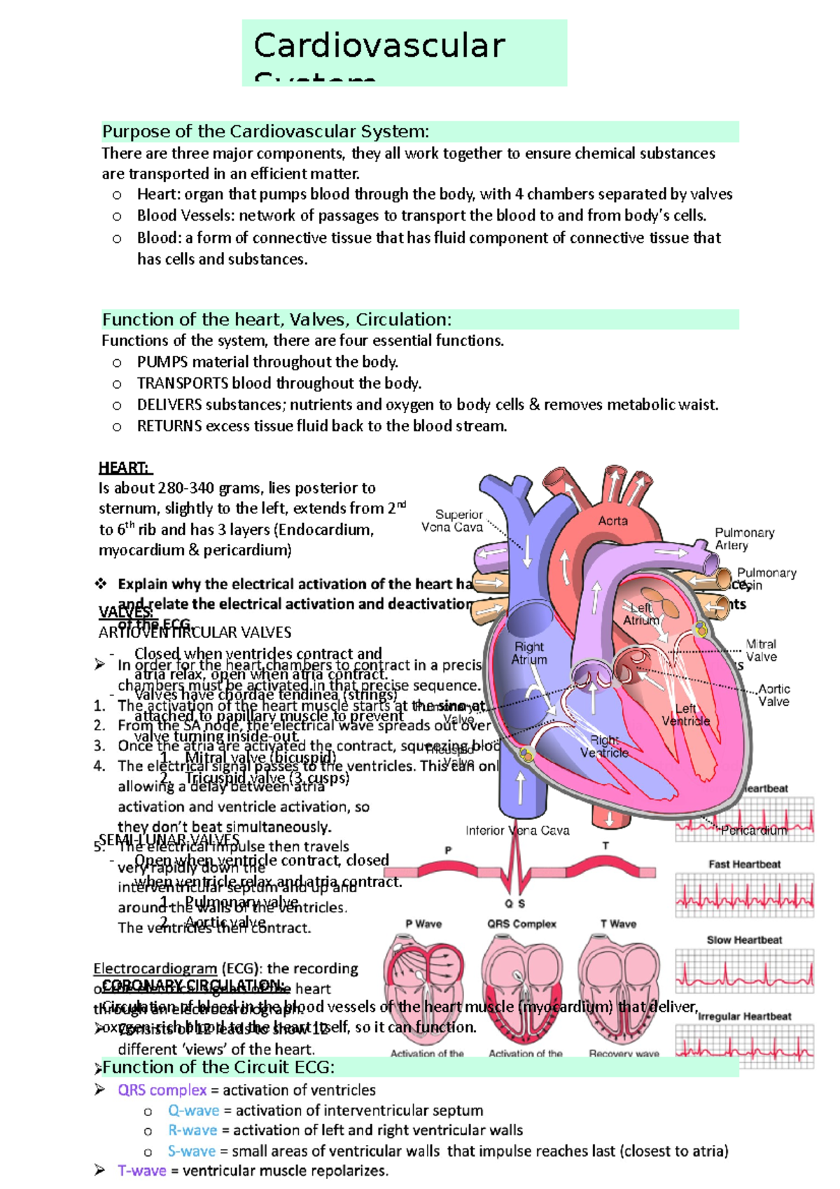 Wk 9 - Cardiovascular System - Purpose of the Cardiovascular System ...