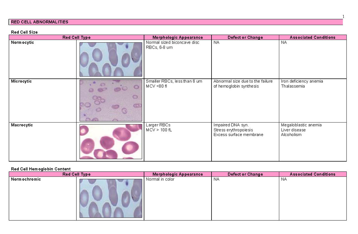 Hema Reviewer Rbcwbc Abnormalities - RED CELL ABNORMALITIES Red Cell ...