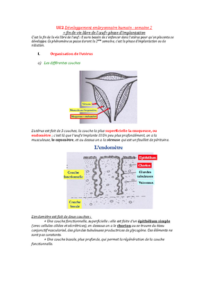 [Solved] les villosits choriales primaires dfinition et de quoi se ...