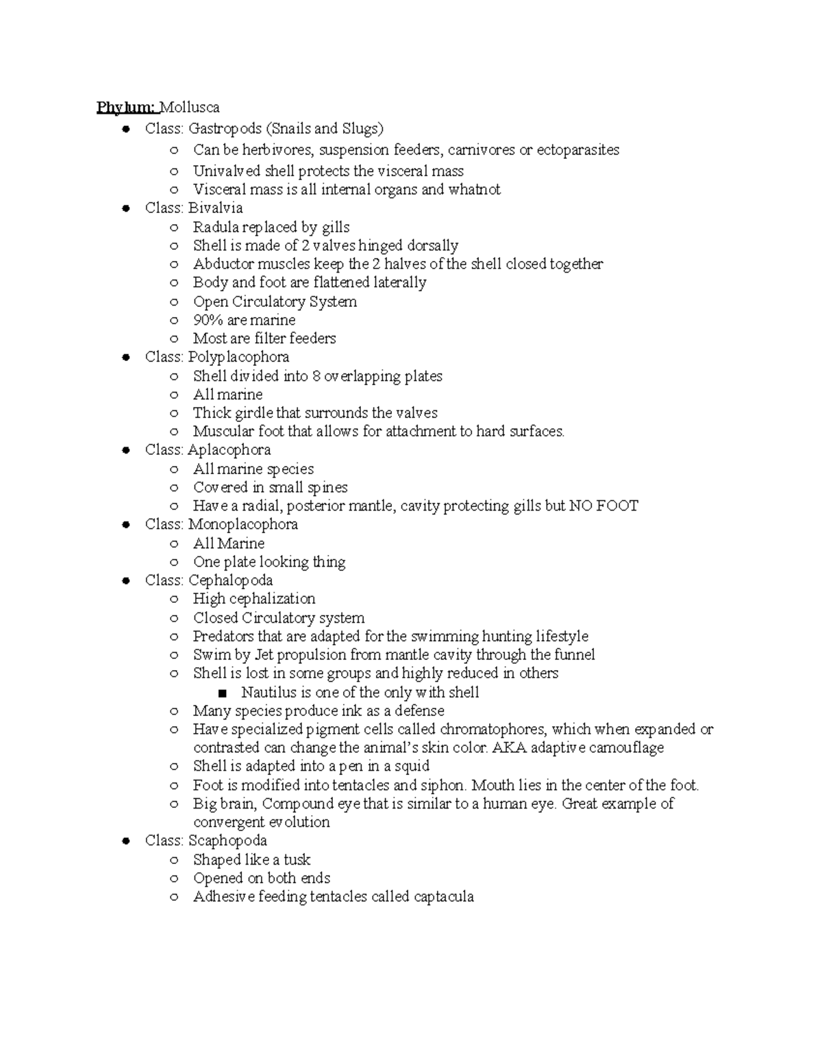 Phylum and Class chart - Phylum: Mollusca Class: Gastropods (Snails and ...