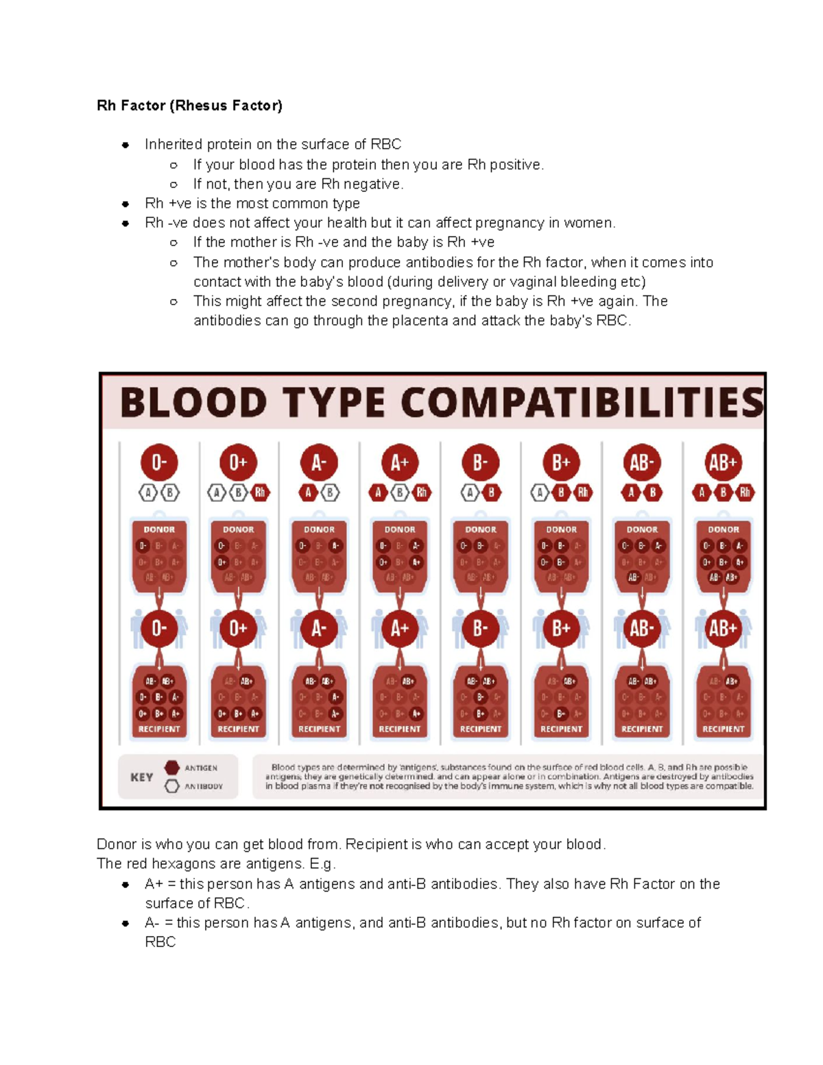 Rh Factor (Rhesus Factor) - If not, then you are Rh negative. Rh +ve is ...