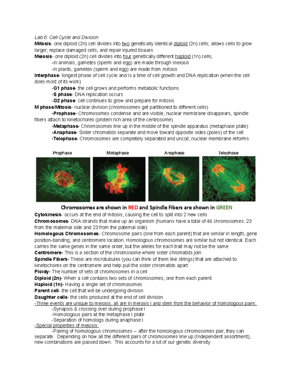 BIO LAB EXAM 2 SUMMARY - Lab 6: Cell Cycle and Division Mitosis - one ...