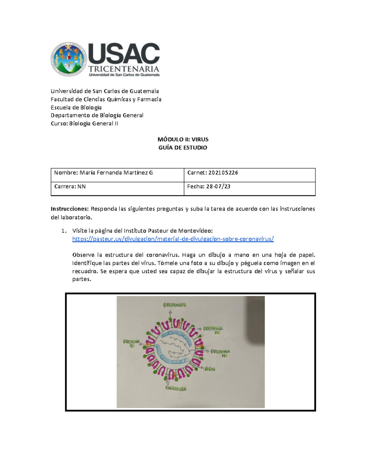 Guía de estudio Práctica 2, Virus BGII 202105226 (C) - Universidad de ...