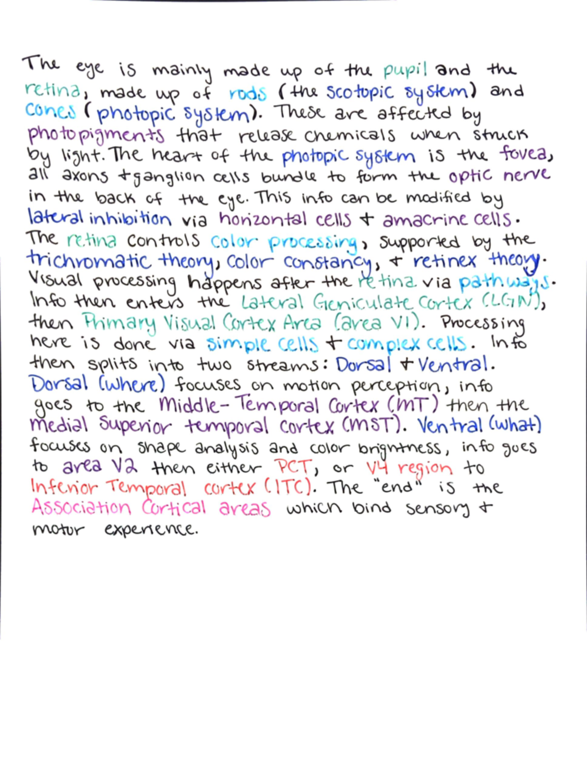 Vision - Summary - up The eye is mainly made of the pupil and the ...