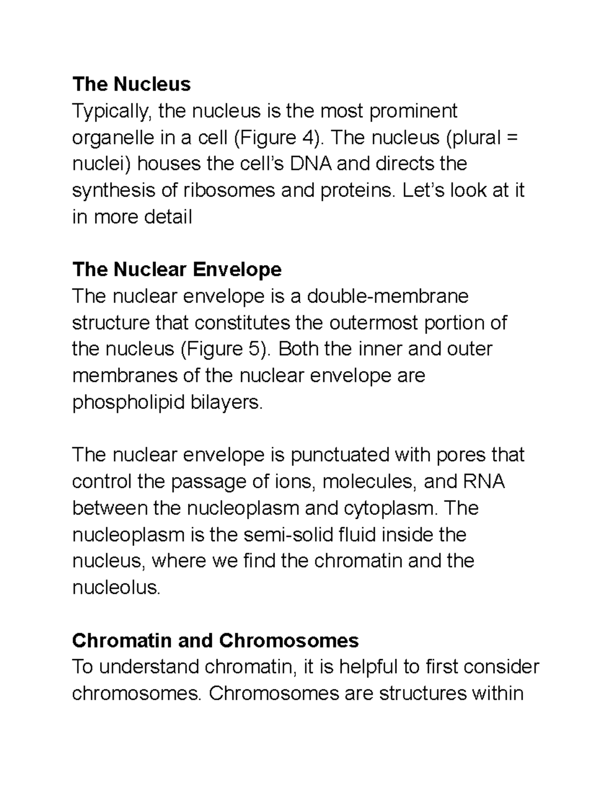 BIOL 1345 Module 3 Eukaryotic Cells - The Nucleus Typically, the ...