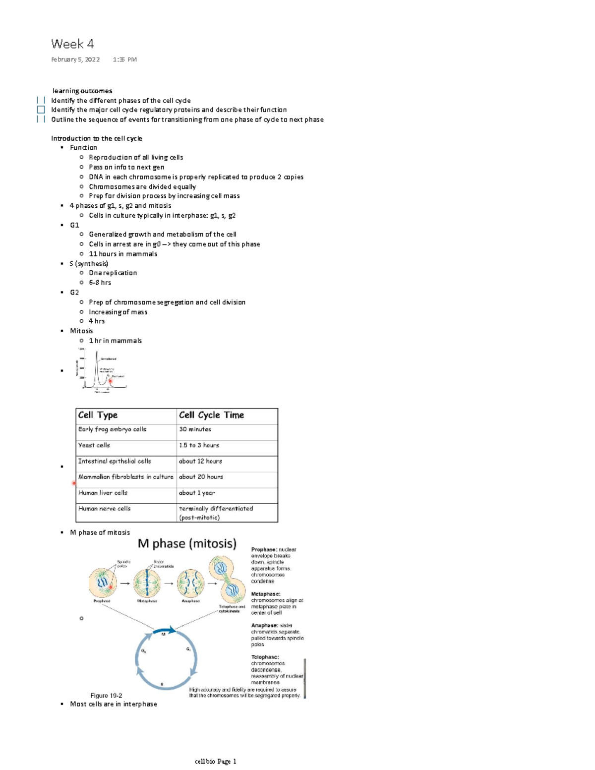 Cell bio week 4 - notes - learning outcomes Identify the different ...