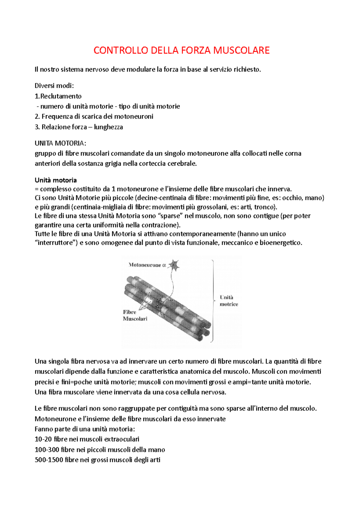 1a) Fisiologia Appunti - Muscolo scheletrico - Controllo della forza ...