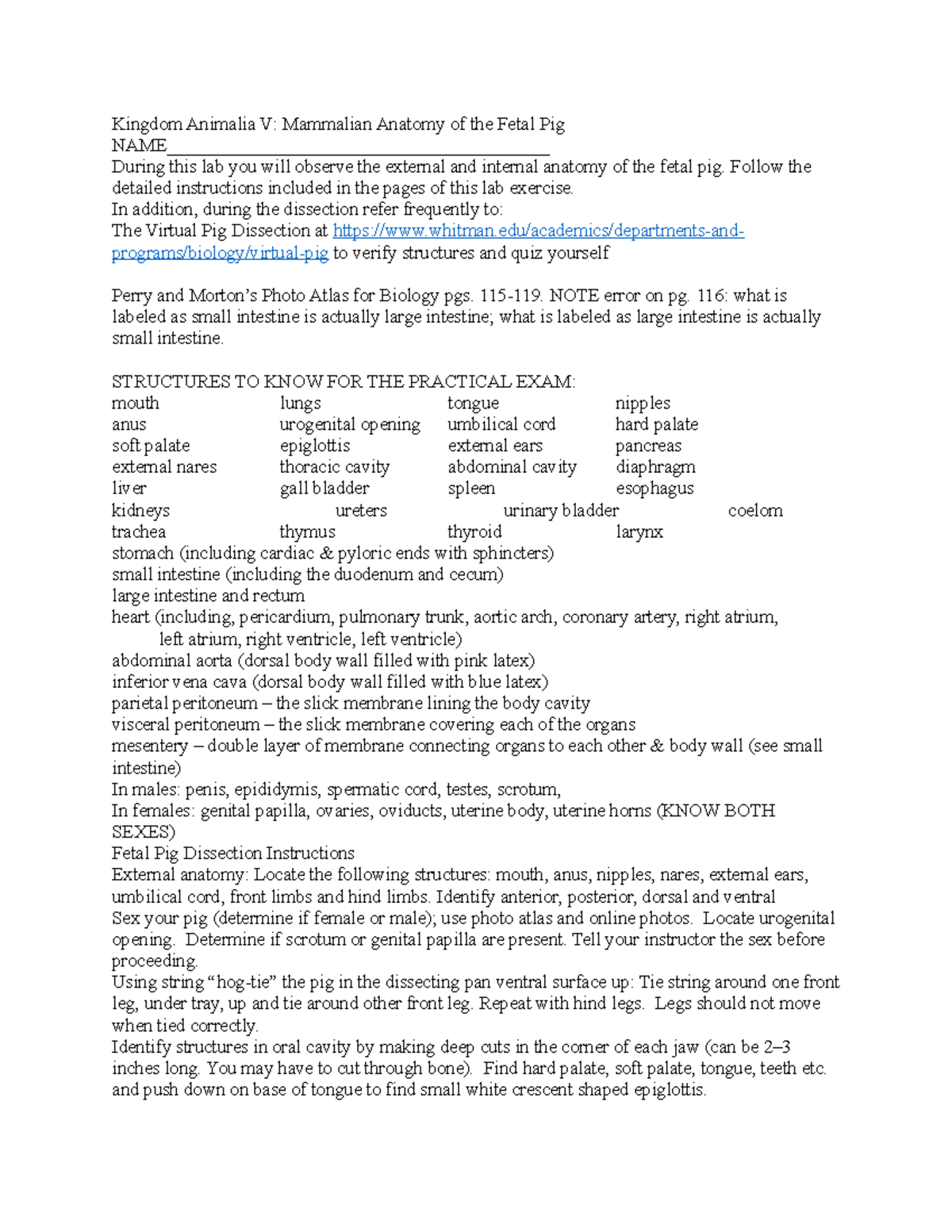 Fetal Pig Lab Word File SP20 Kingdom Animalia V Mammalian Anatomy Of 