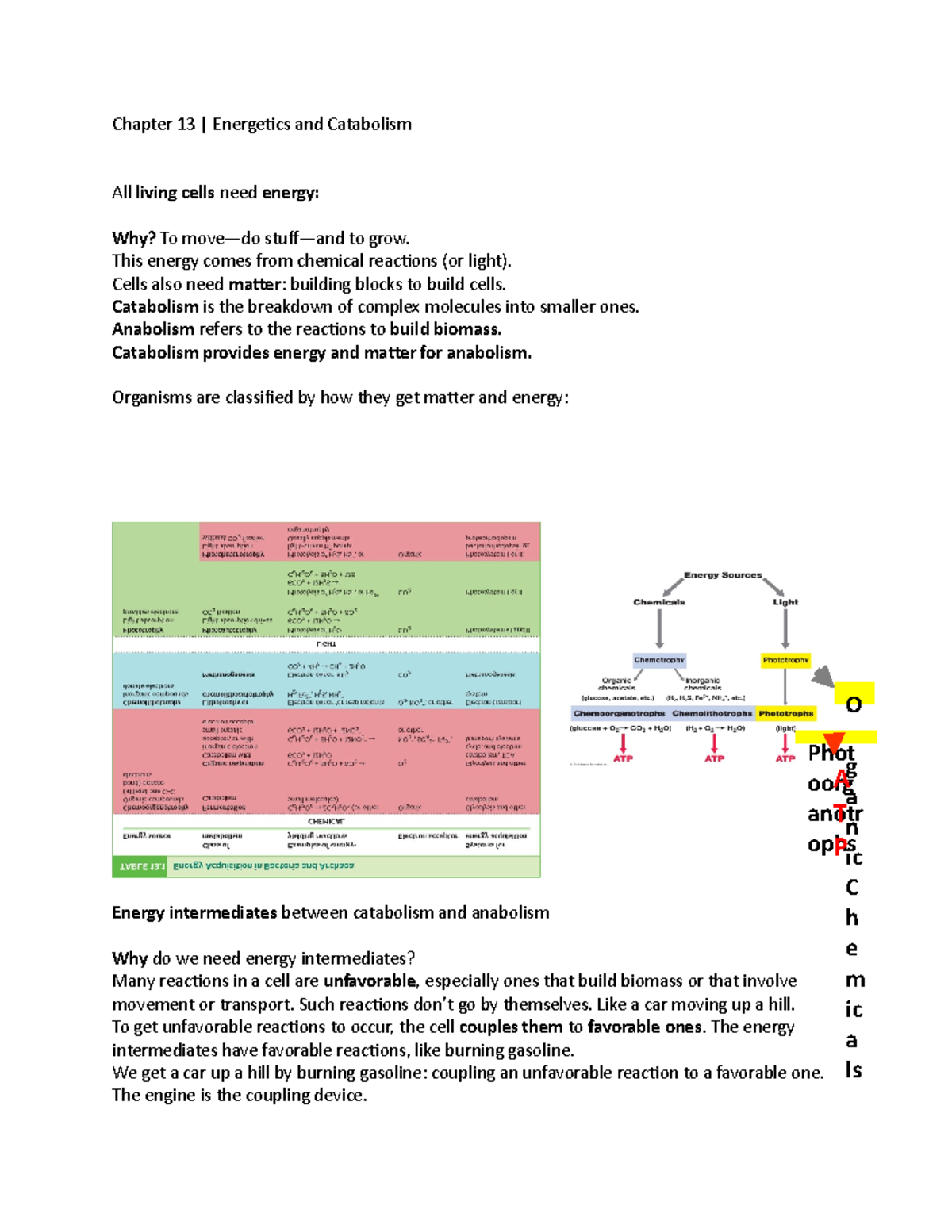 Chapter 13 - Notes - Chapter 13 | Energetics and Catabolism All living ...
