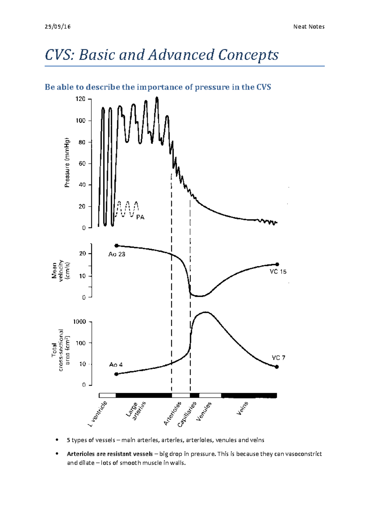 Cardiovascular System - CVS: Basic and Advanced Concepts Be able to ...