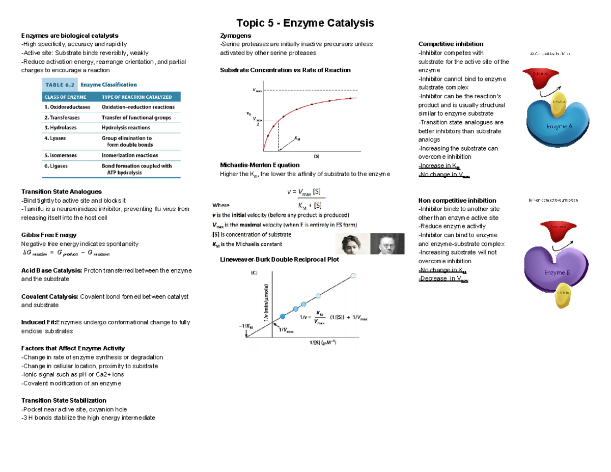 Biochem Cheat Sheet 5 - Topic 5 - Enzyme Catalysis Enzymes are ...