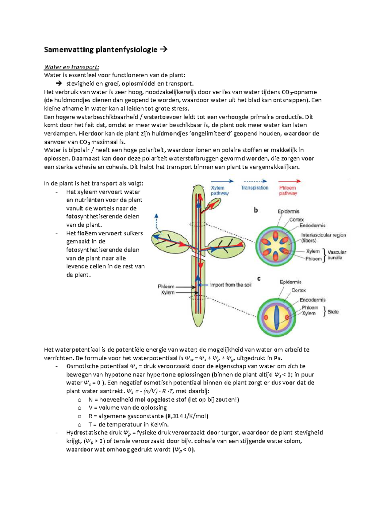Samenvatting Plantenfysiologie: compleet - Samenvatting ...