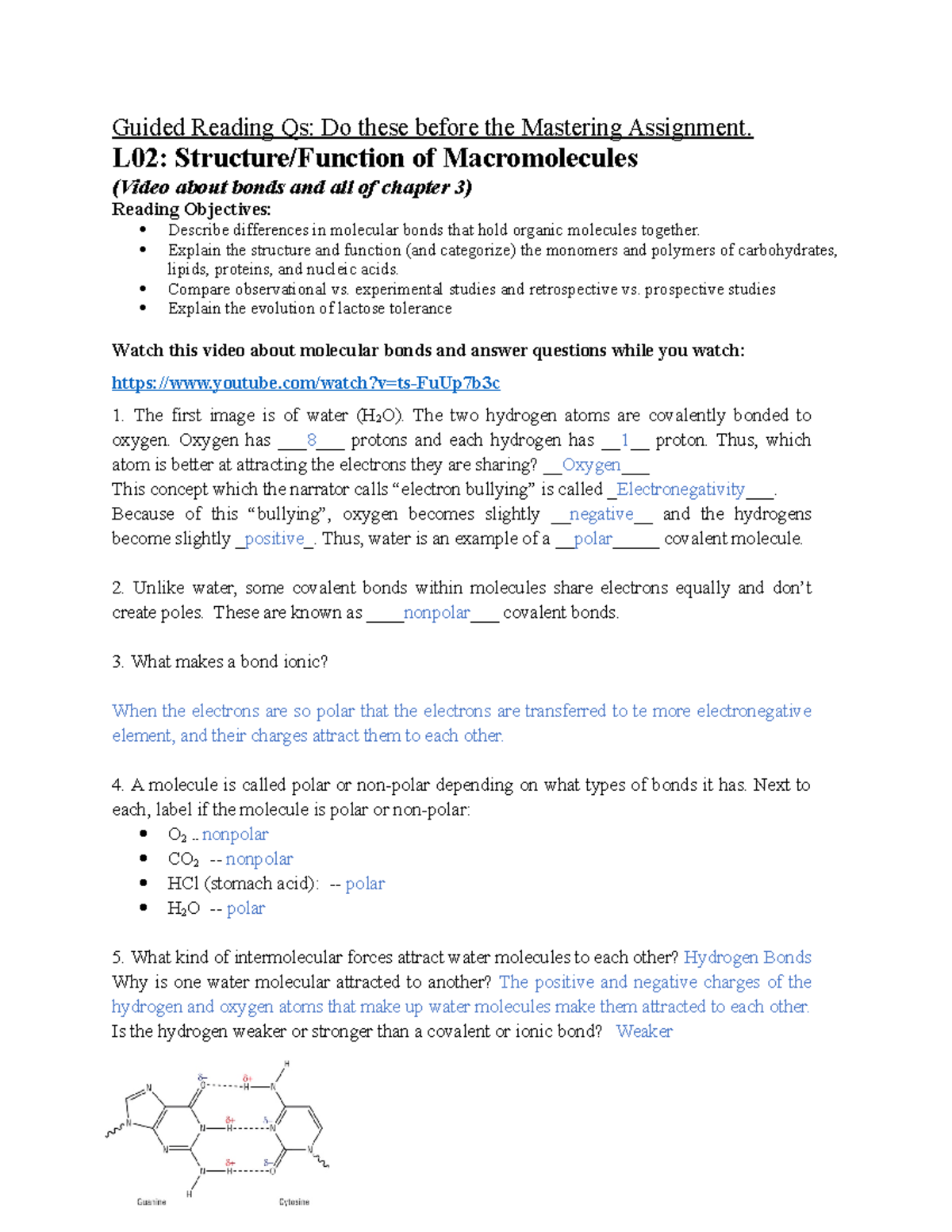 Lesson 2 GRQ - GRQ for Chapter 2 - Guided Reading Qs: Do these before ...