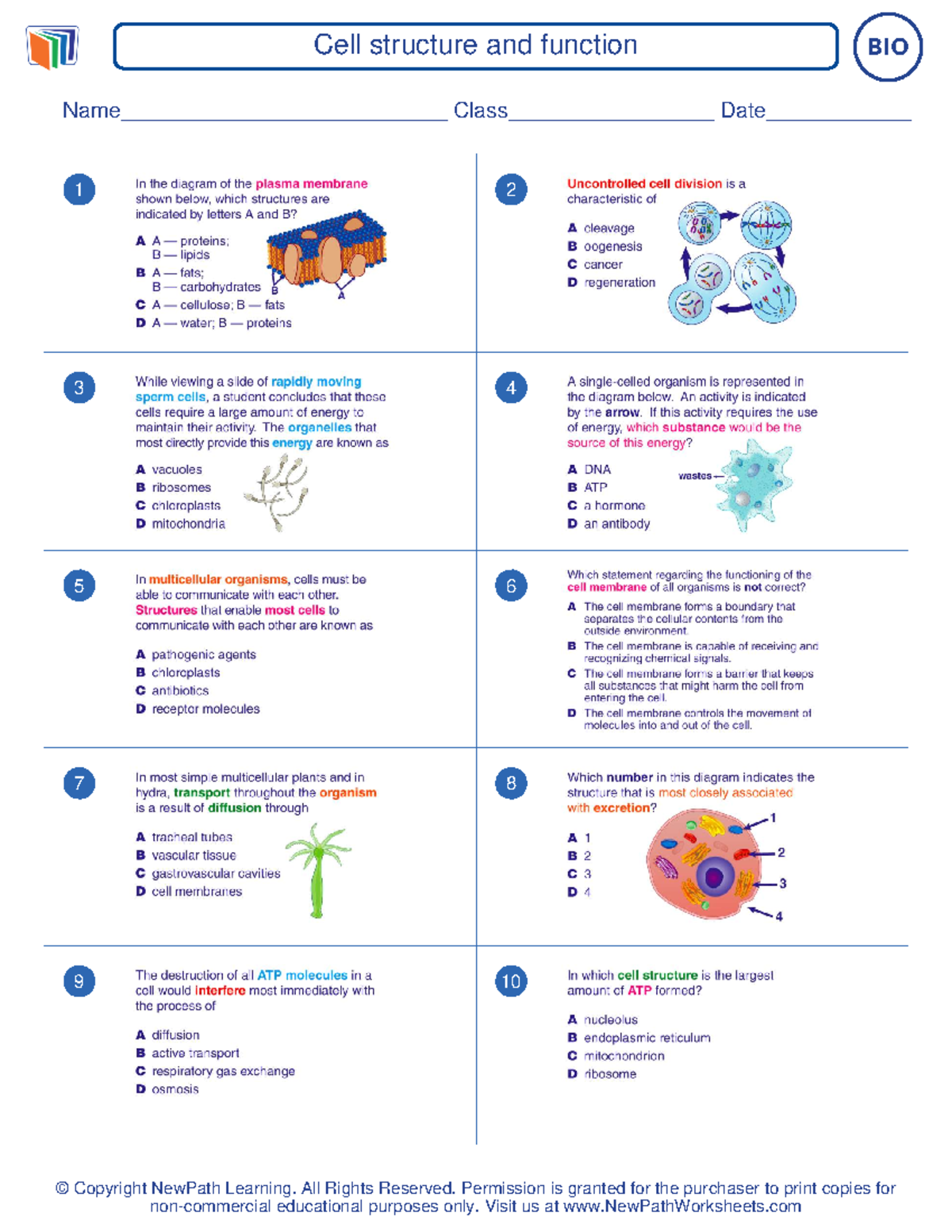 Worksheet biology high school cell structure and function 07062023 ...